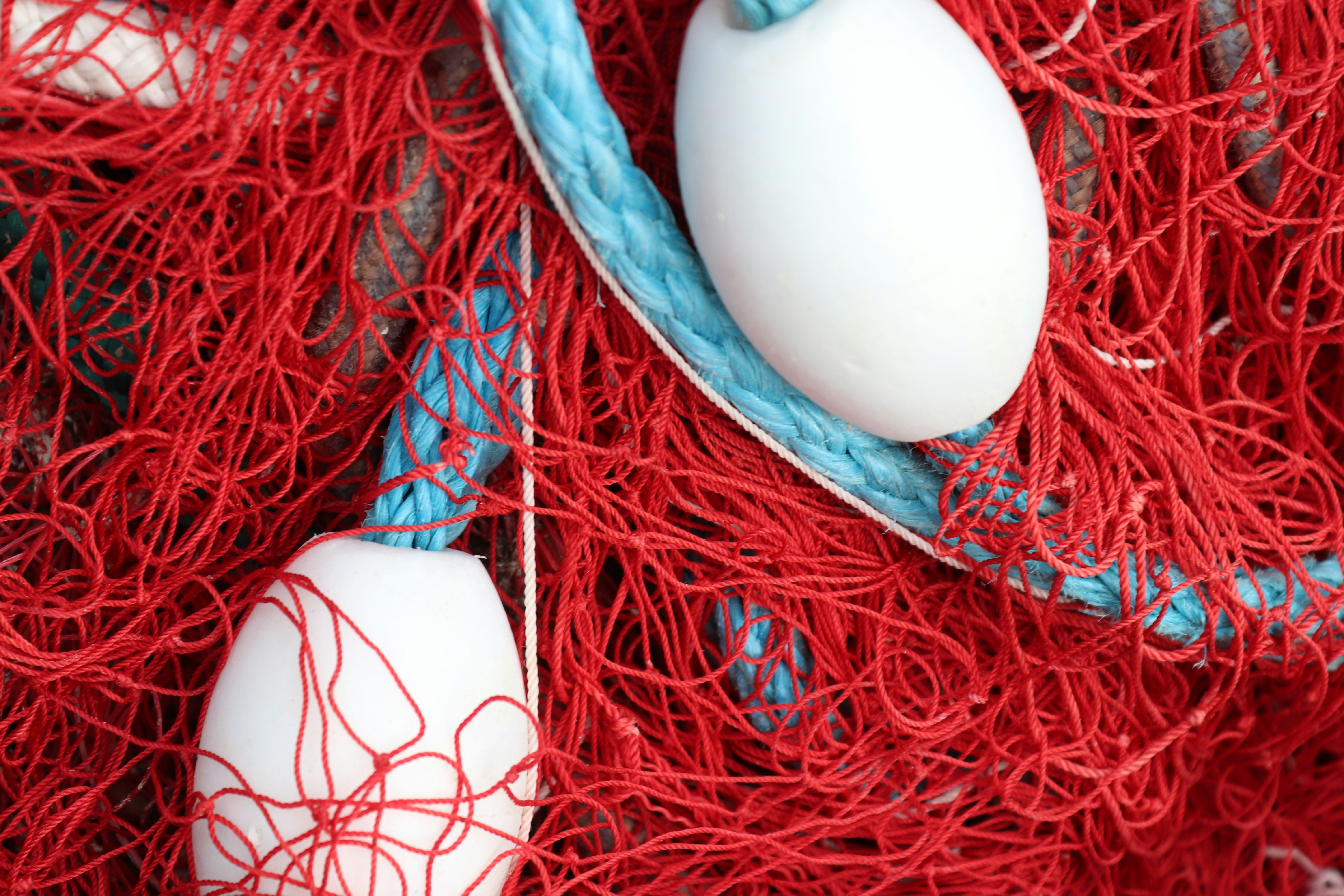 Red Tangle of Nets with White Moons