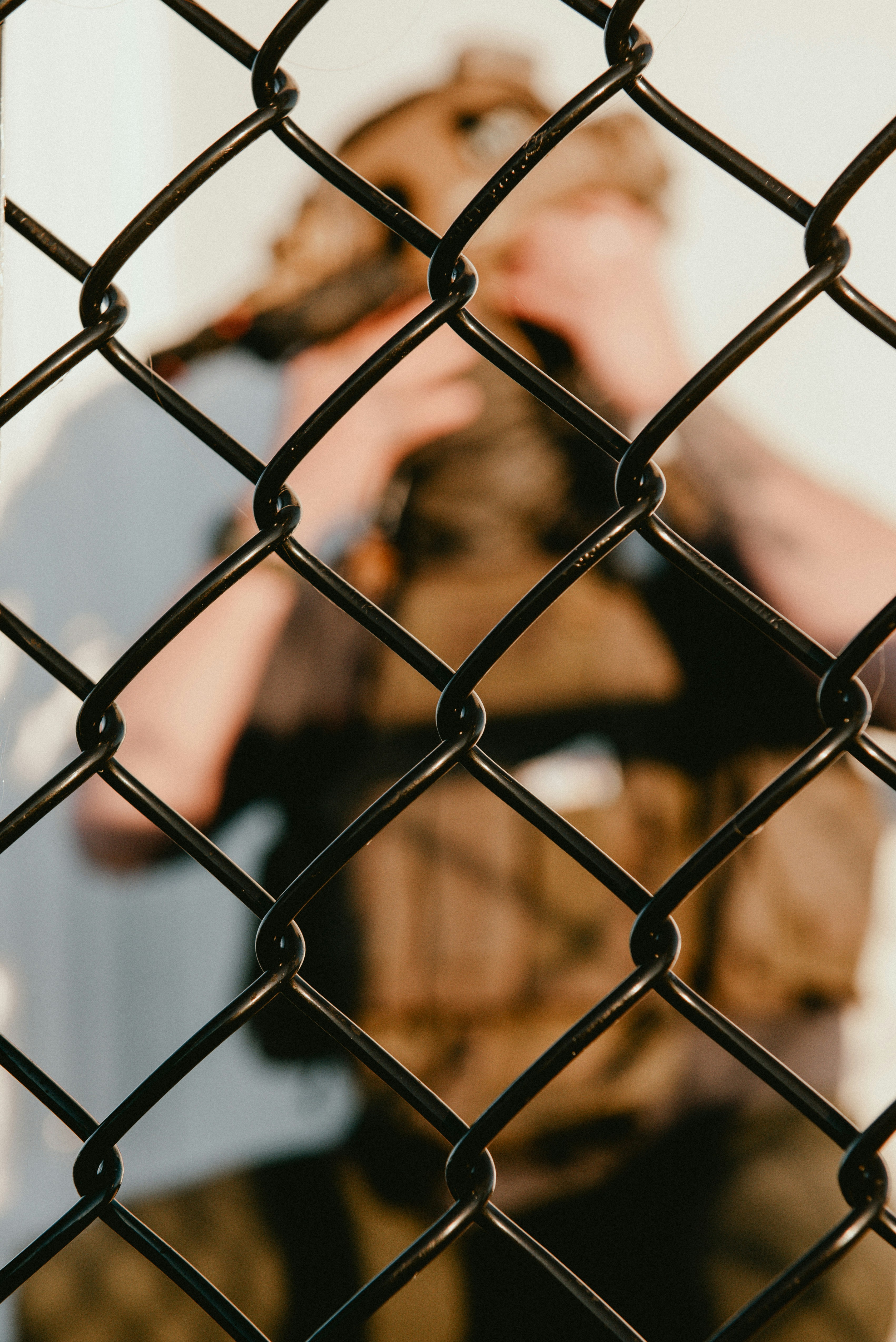 A close up of a chain link fence photo – Free Military Image on Unsplash