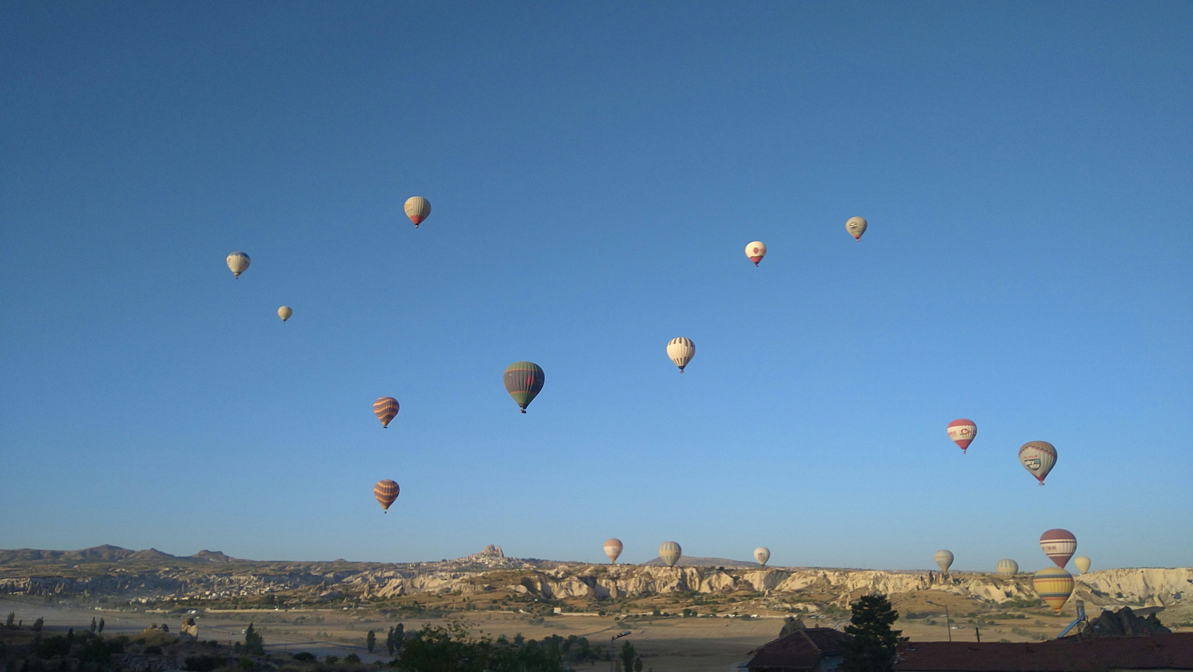 Balloons in the sky