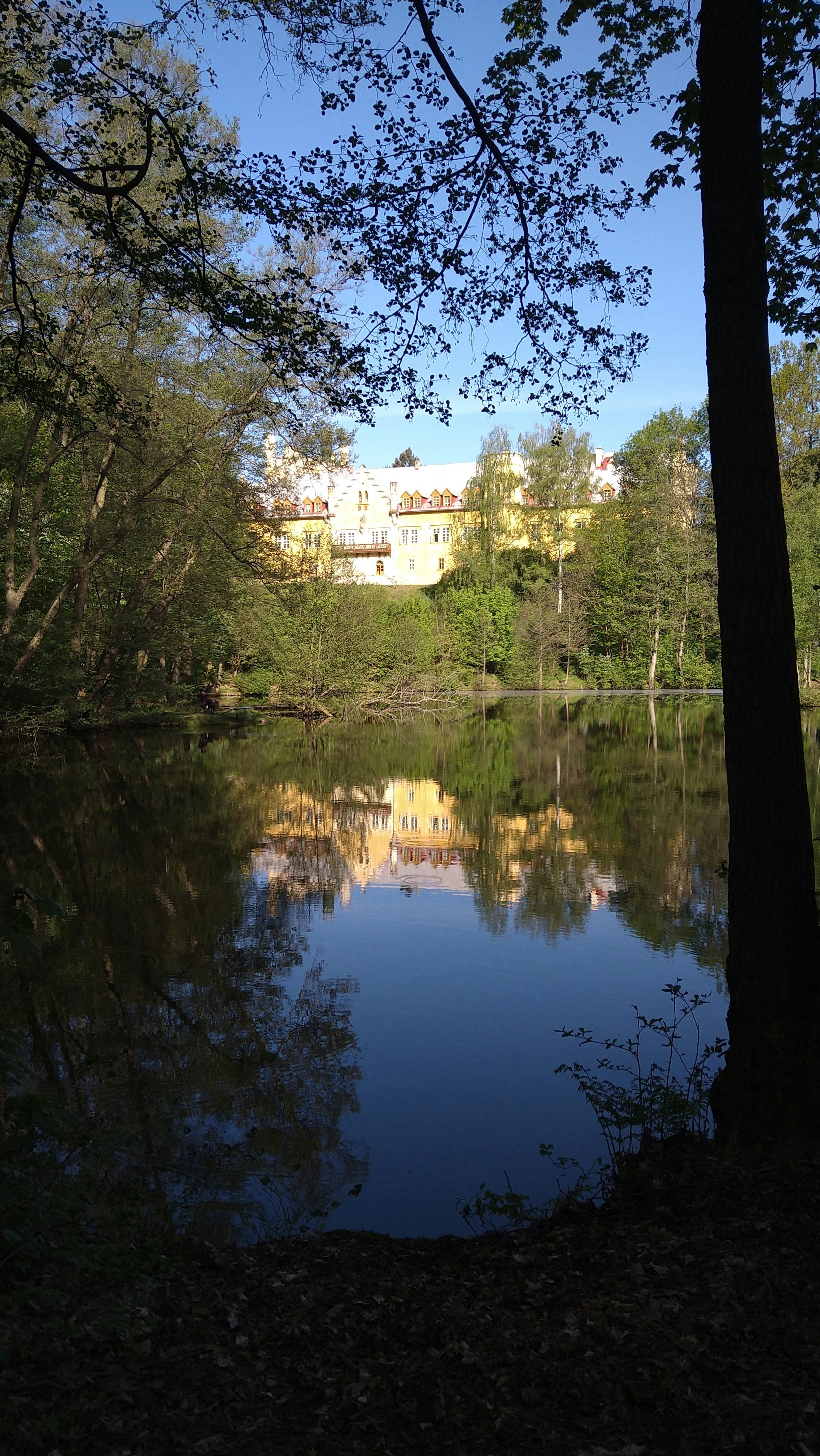 Castle mirrored in lake