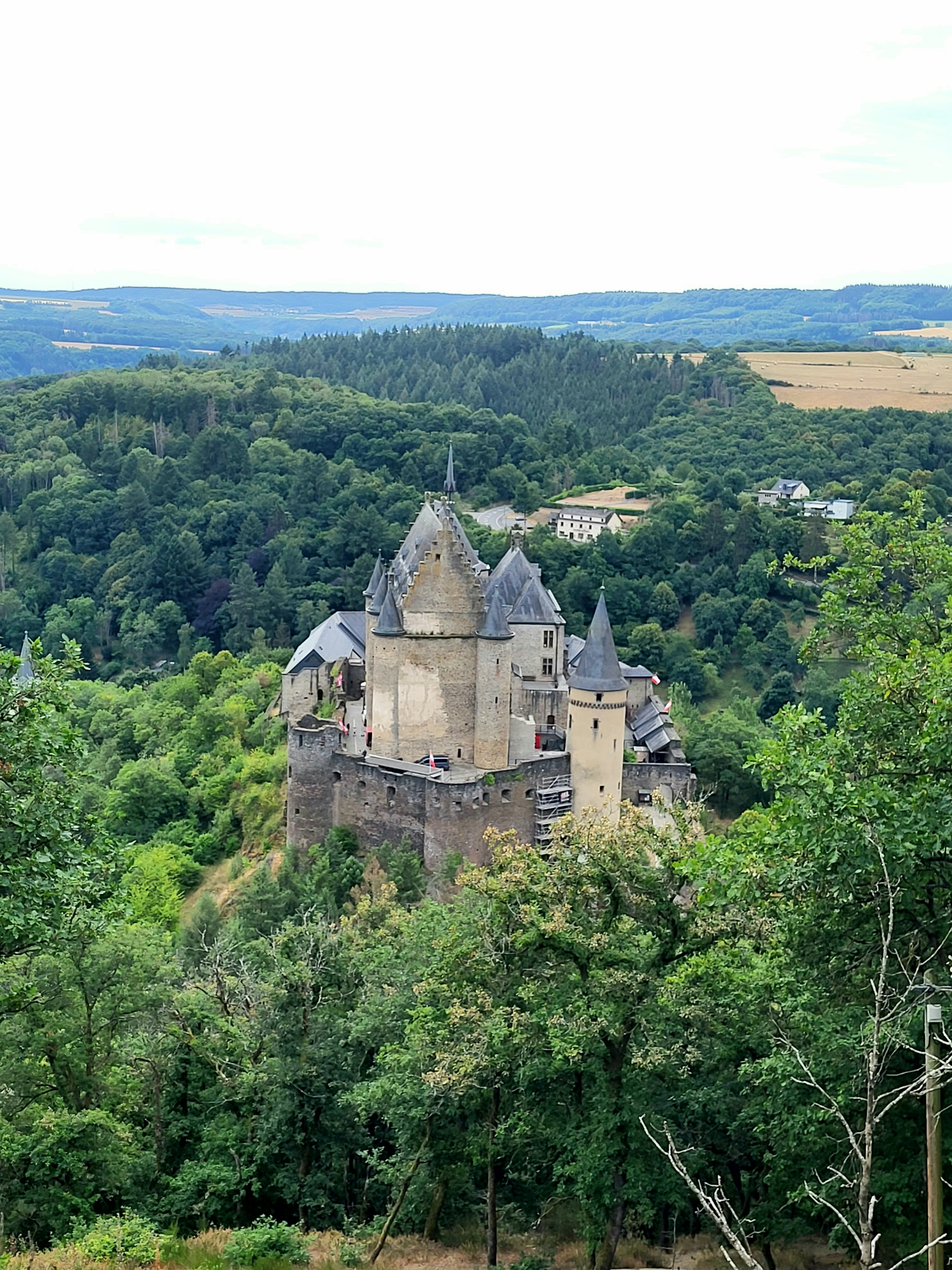 Un château sur une colline entouré d’arbres photo – Photo Vianden ...