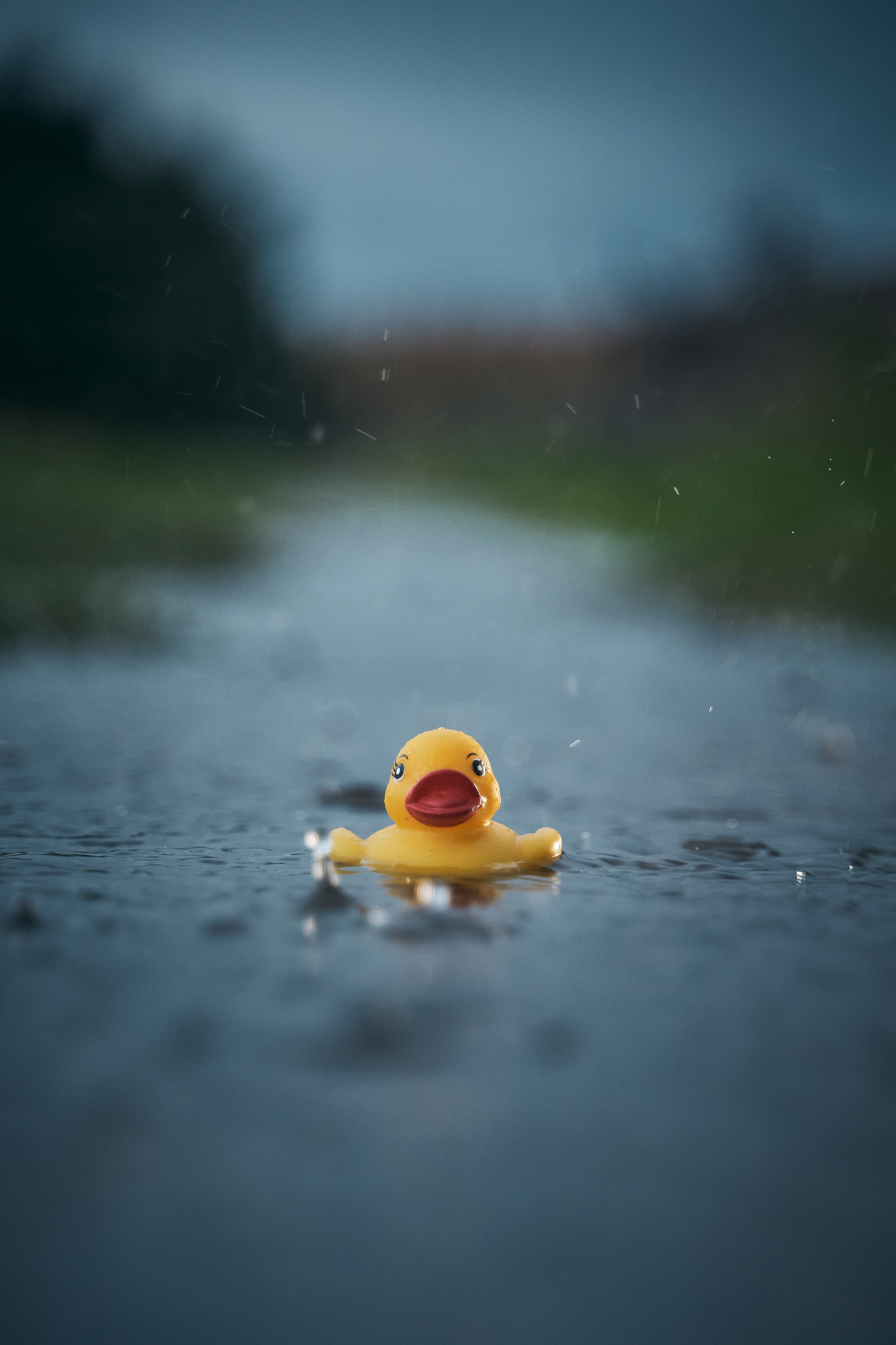 A rubber duck floating on water photo – Free Background Image on Unsplash
