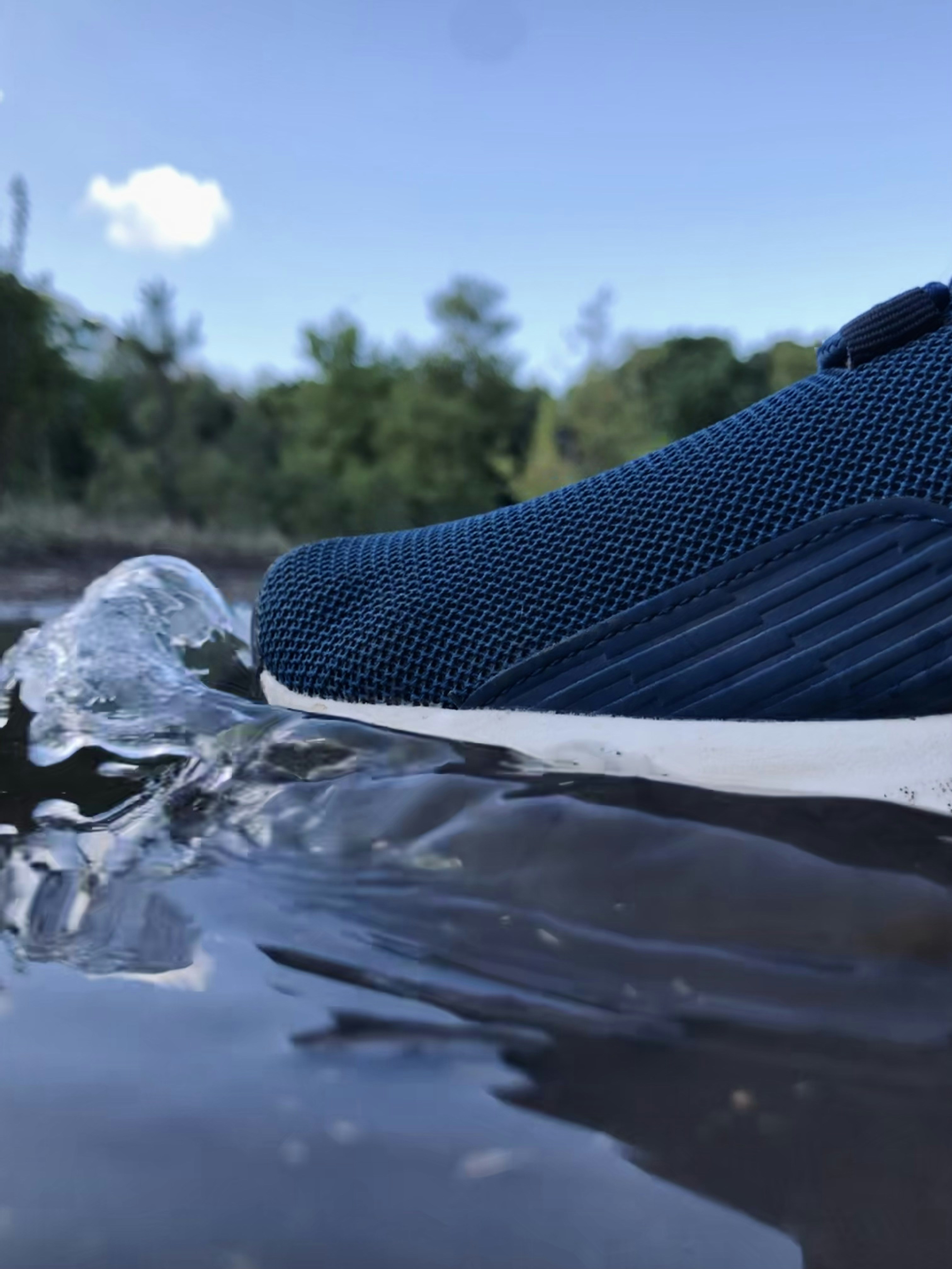 Blue Knit Sneaker at the Ice Edge: Quiet Tech in a Forest Glow