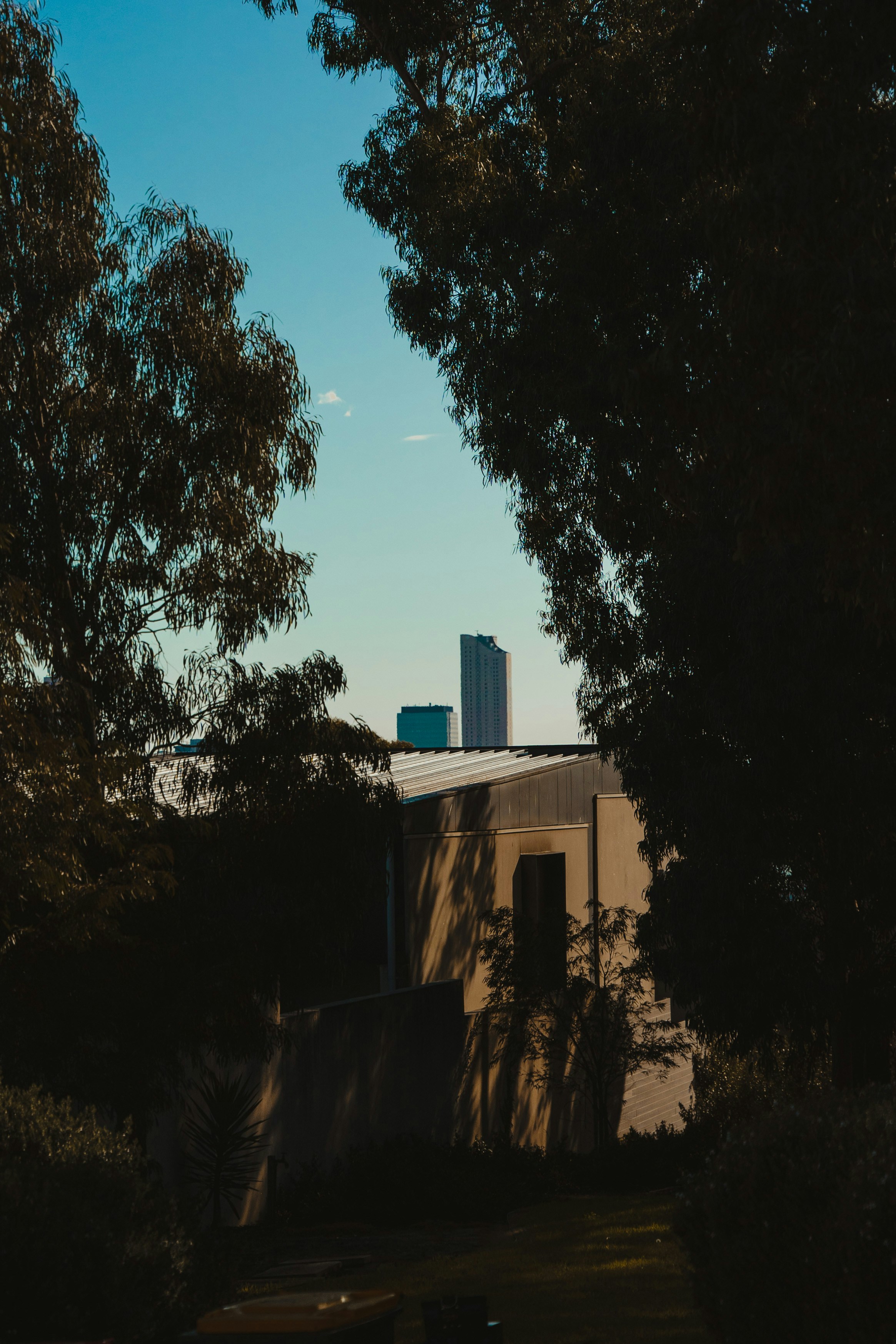 Urban Needle Peeking Through a Canopy of Shadow