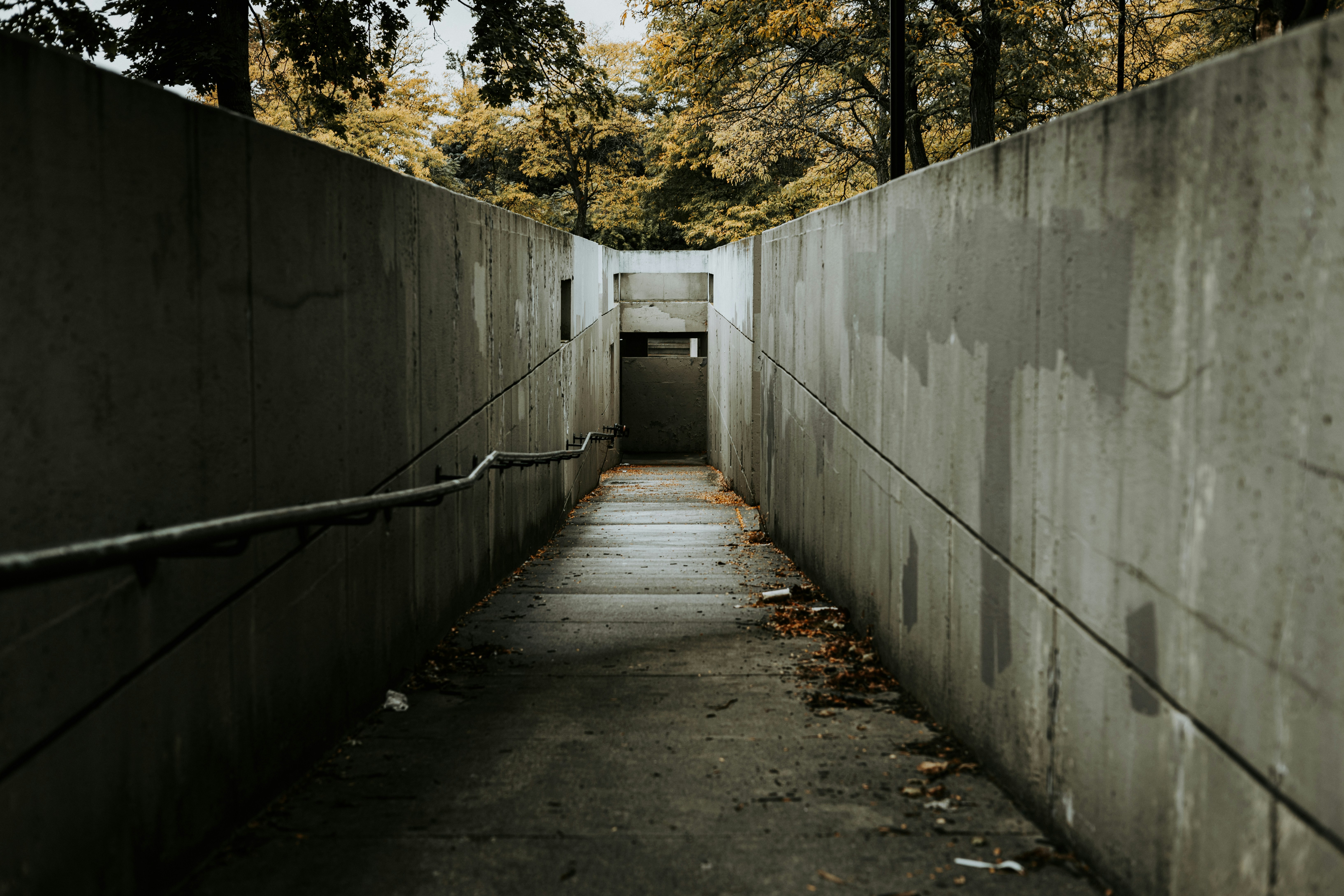 Photo by Bruno Guerrero with Canon EOS R