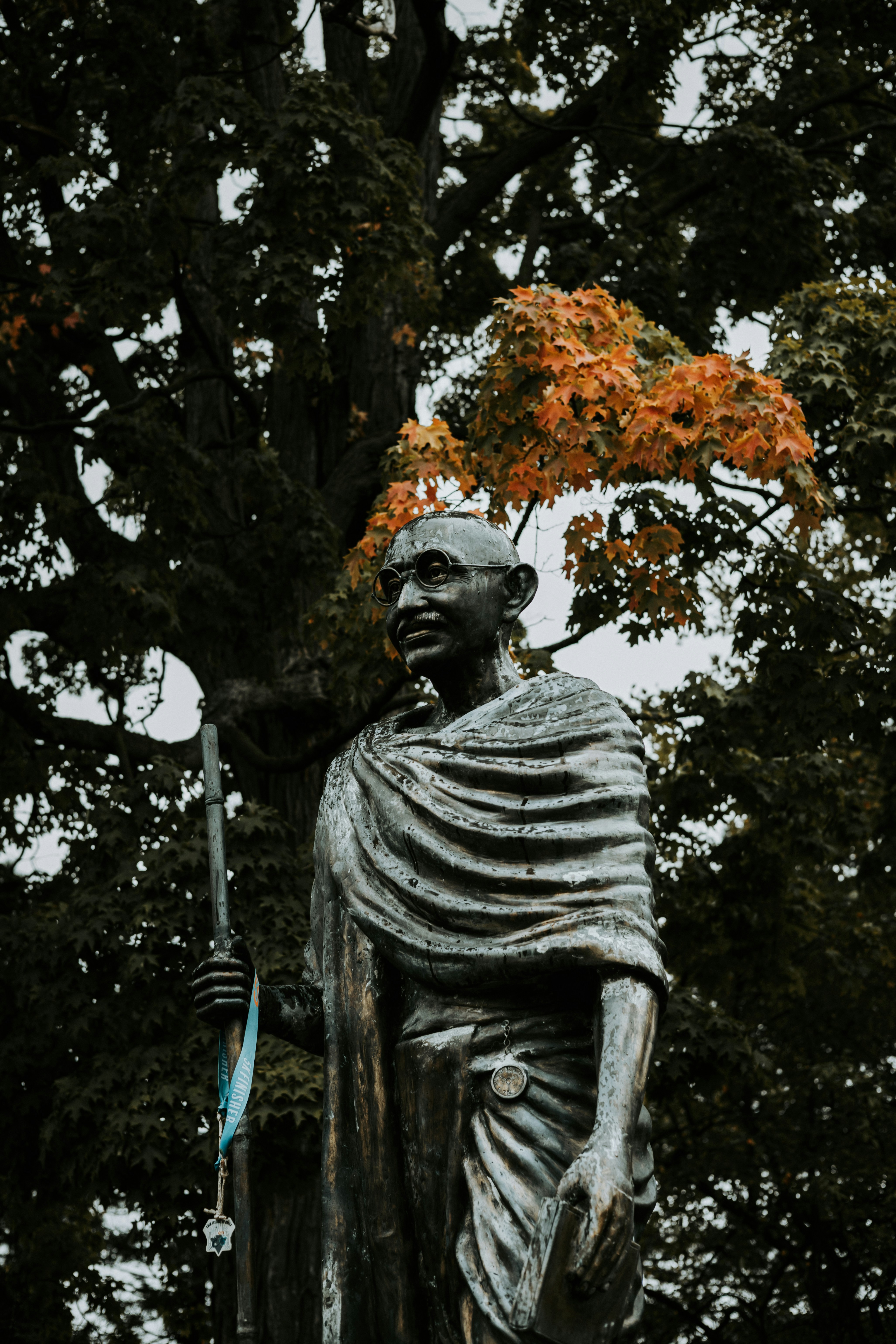 Autumn Crowned Guardian: A serene statue beneath a fall-leaved canopy