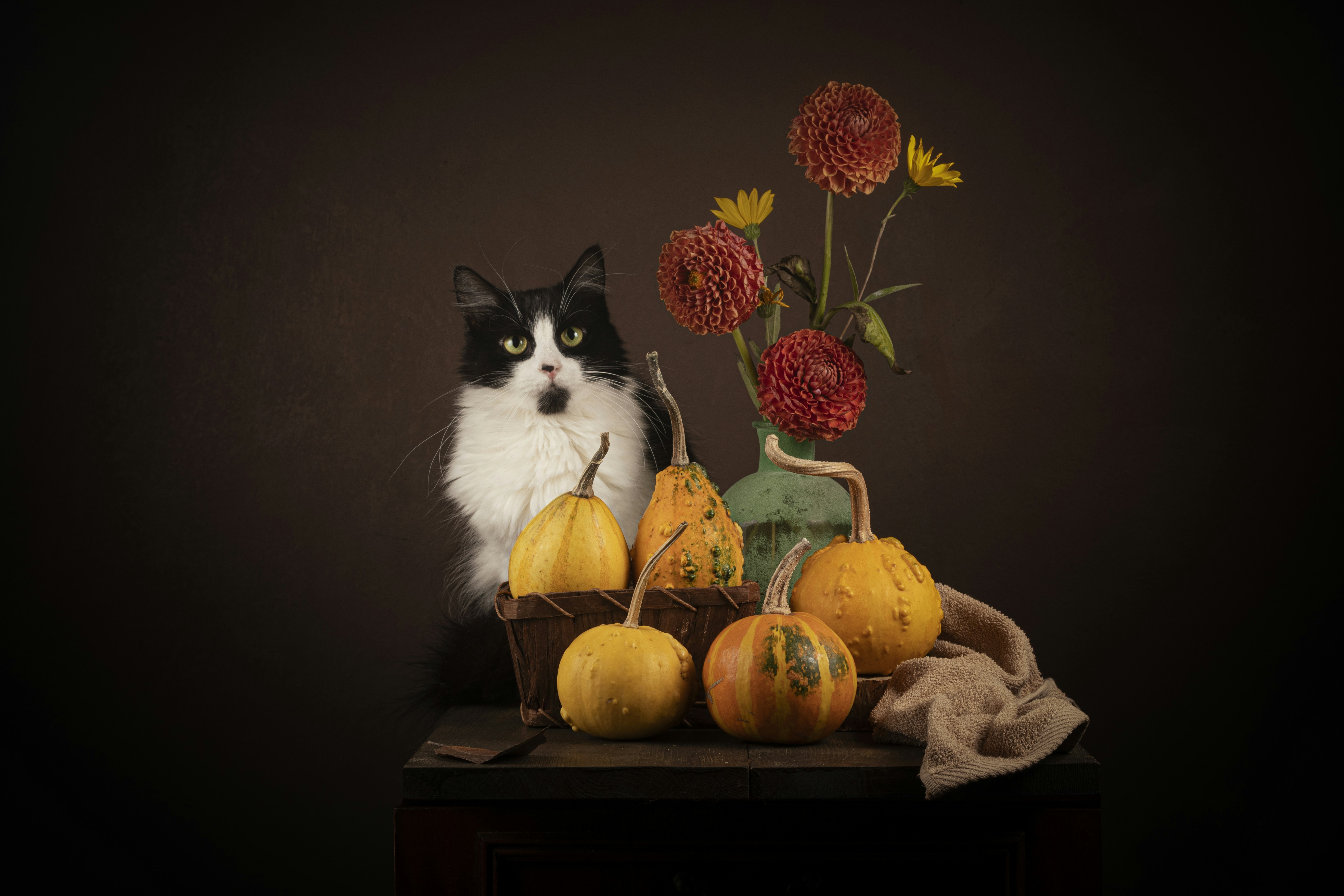 Still Life with a Watchful Cat and Autumn Arrangements