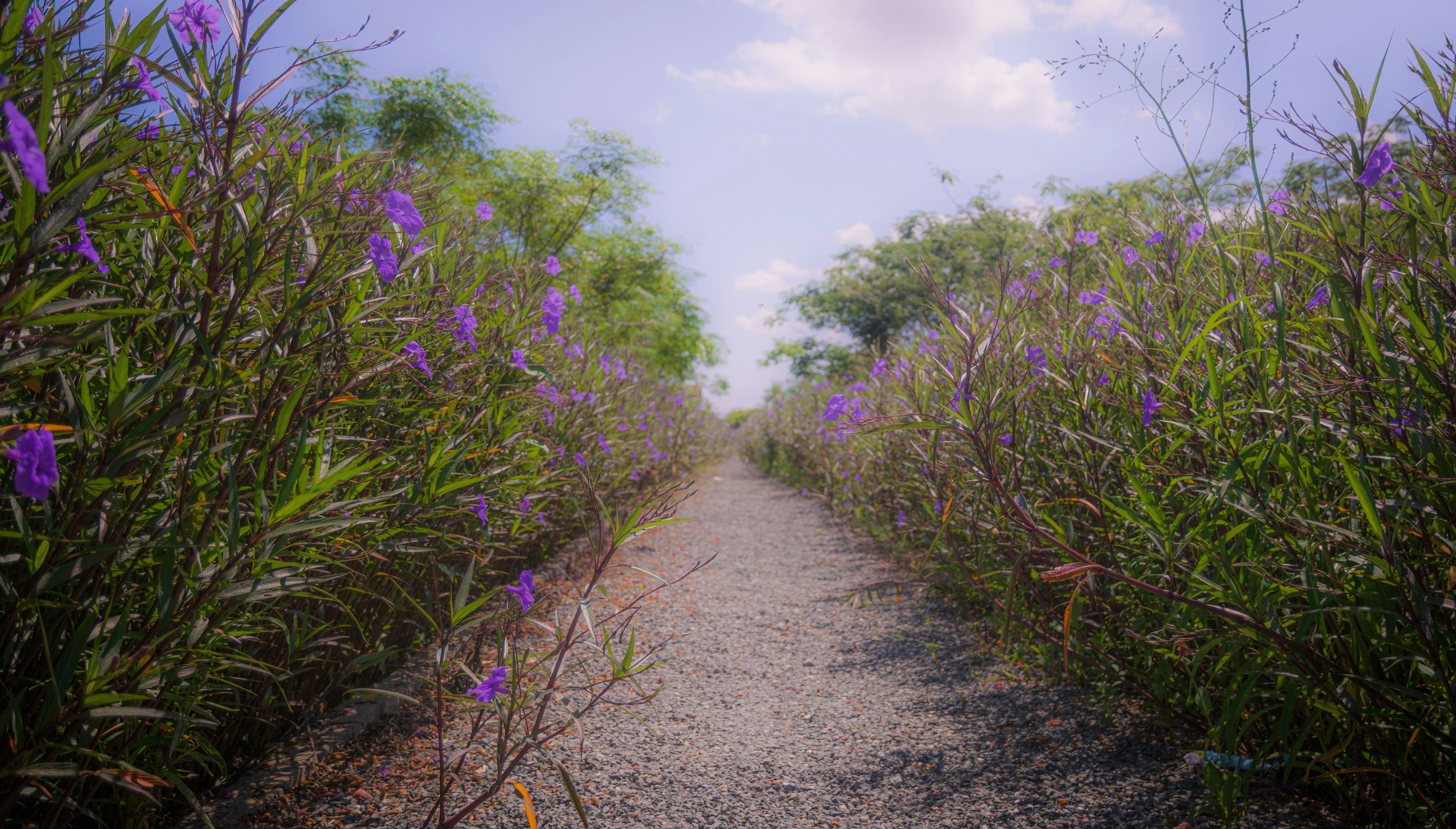 Photo by 磊 周 with Nikon D7100