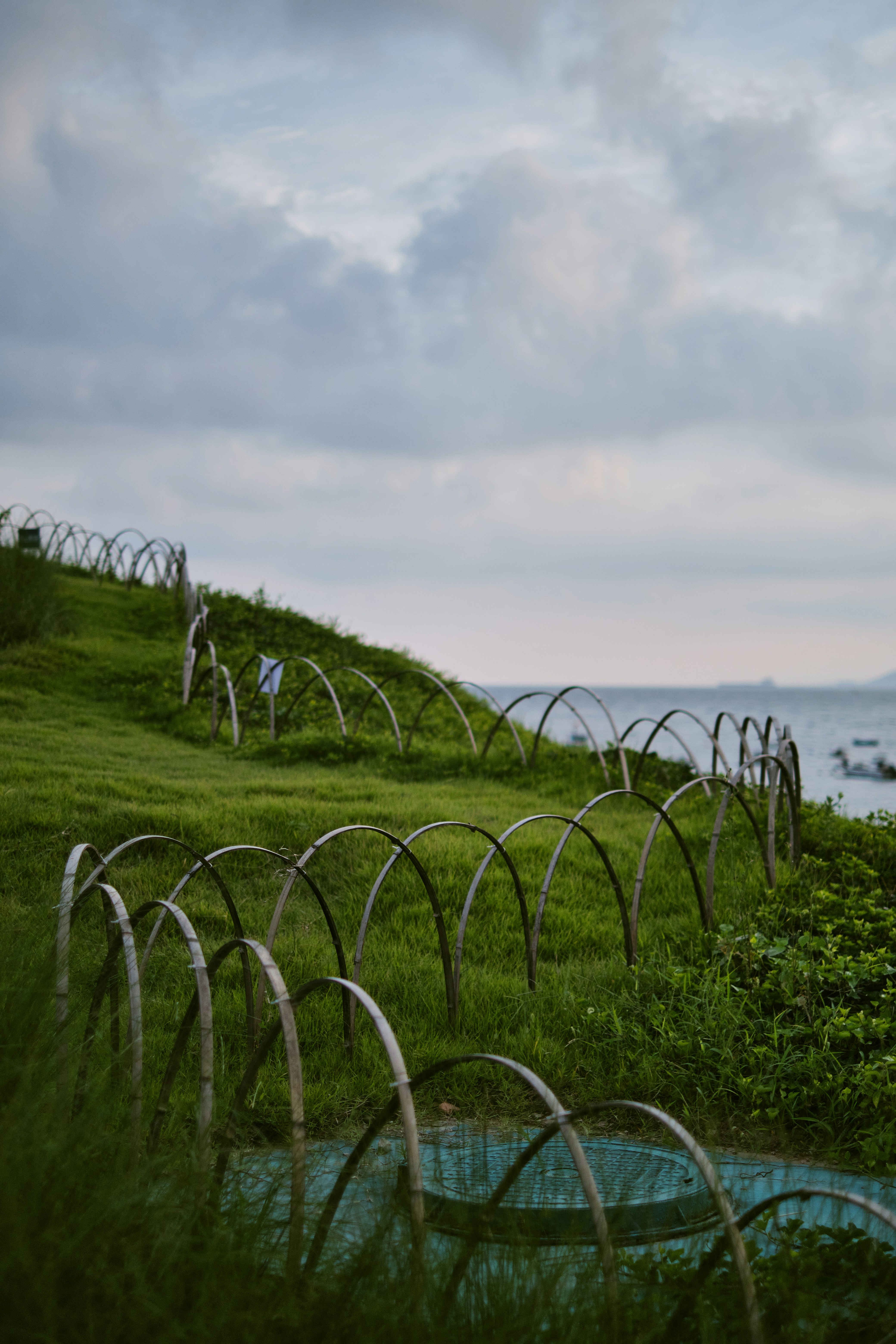 Verdant Arches: A Curving Fence Path to the Sea
