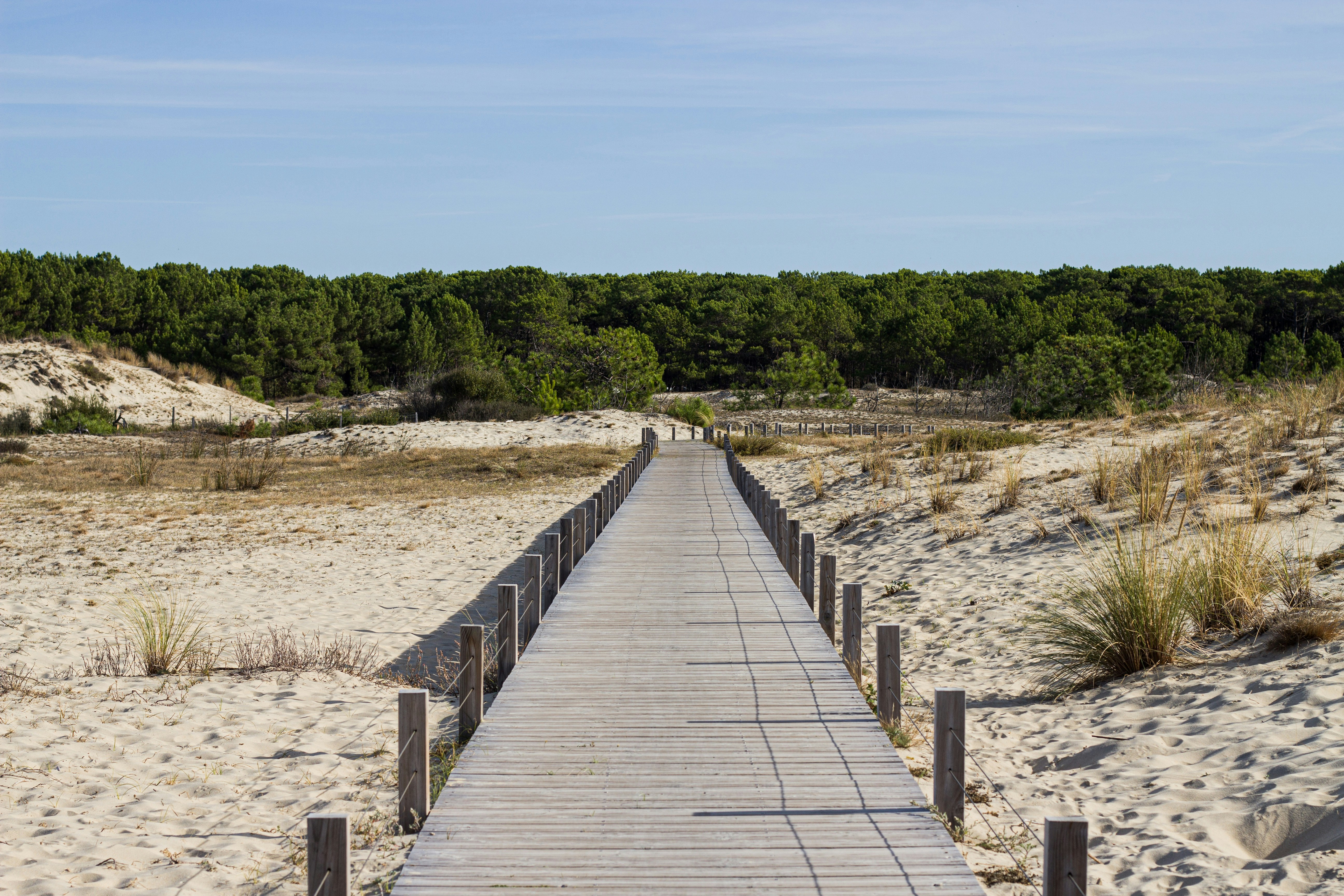 A wooden bridge over a sandy beach photo – Free Biscarrosse plage Image ...