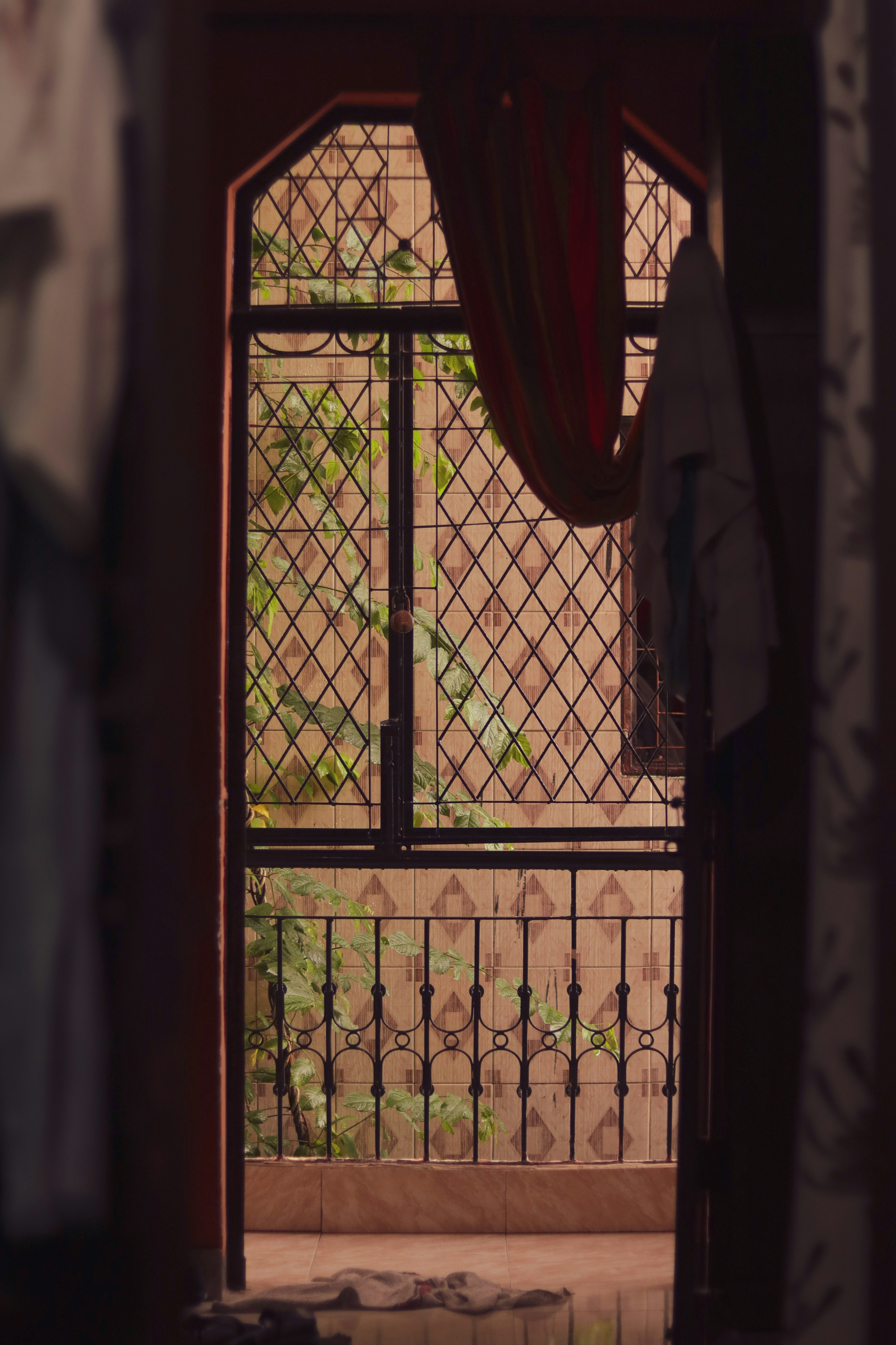 Through a Gridded Doorway: A Quiet Interior Between Curtain and Window