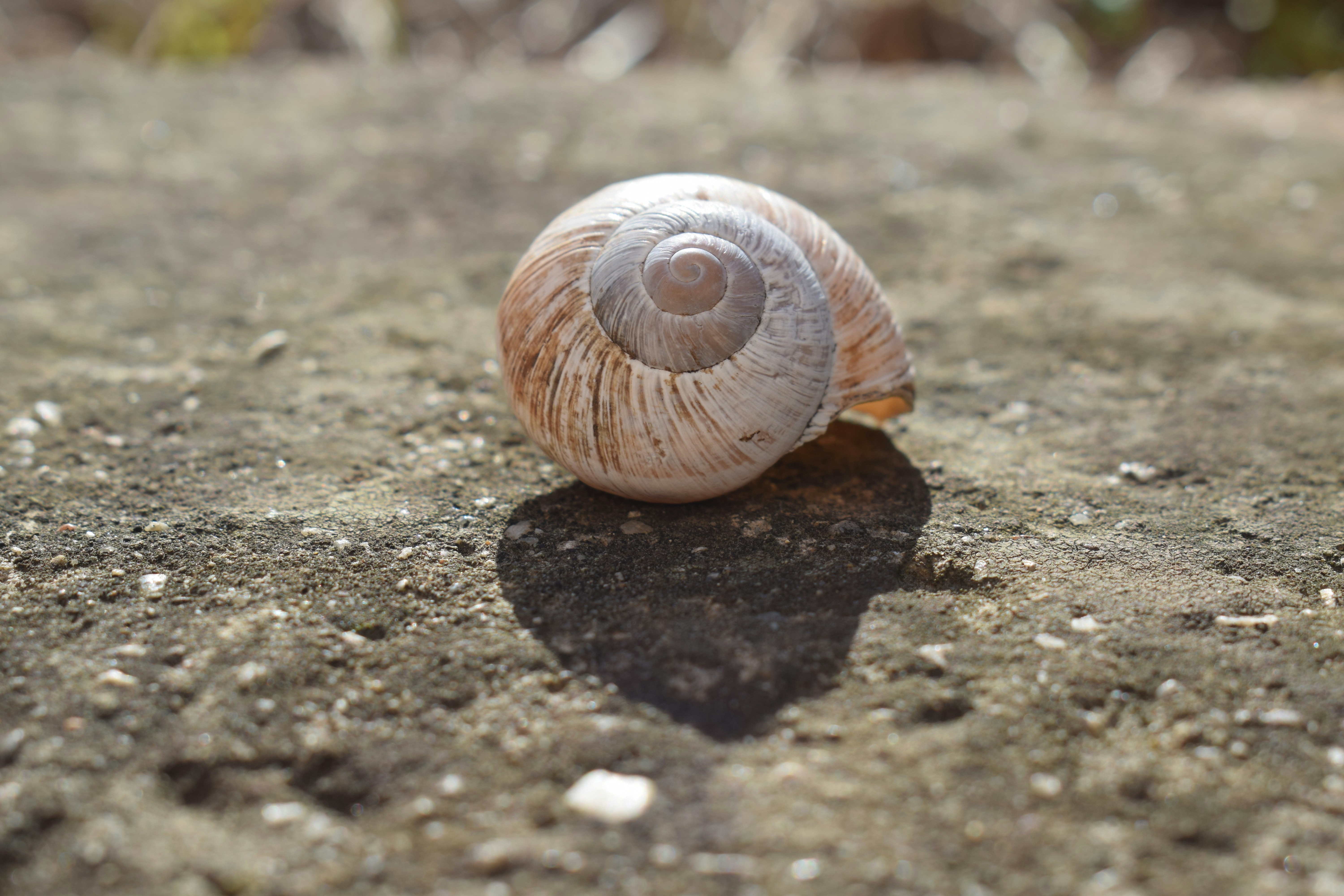 Photo by Marija Zaric with Nikon D5300