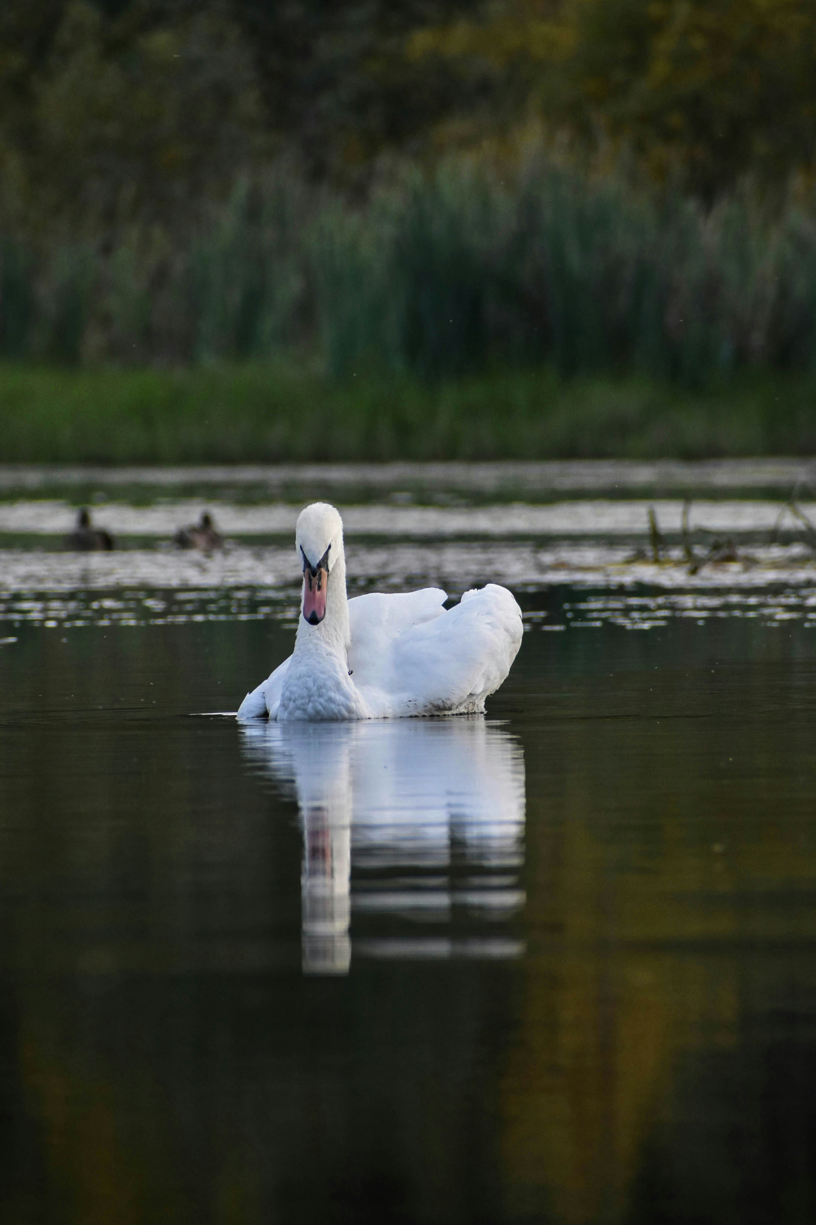 Jane Lush (@briala) | Unsplash 사진 커뮤니티