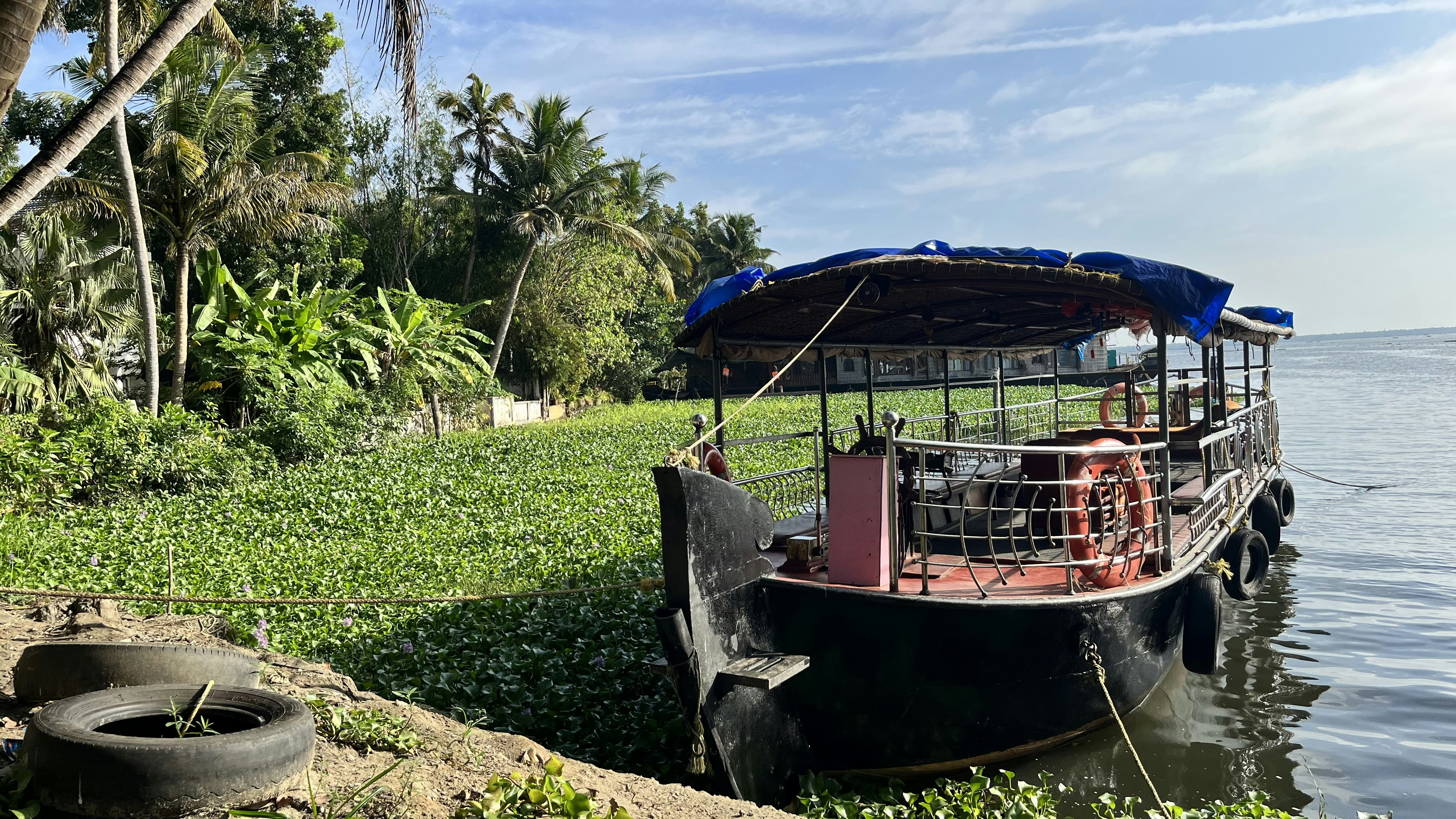 Moored Blue-Canopy Vessel Amid a Lush Tropical Riverside