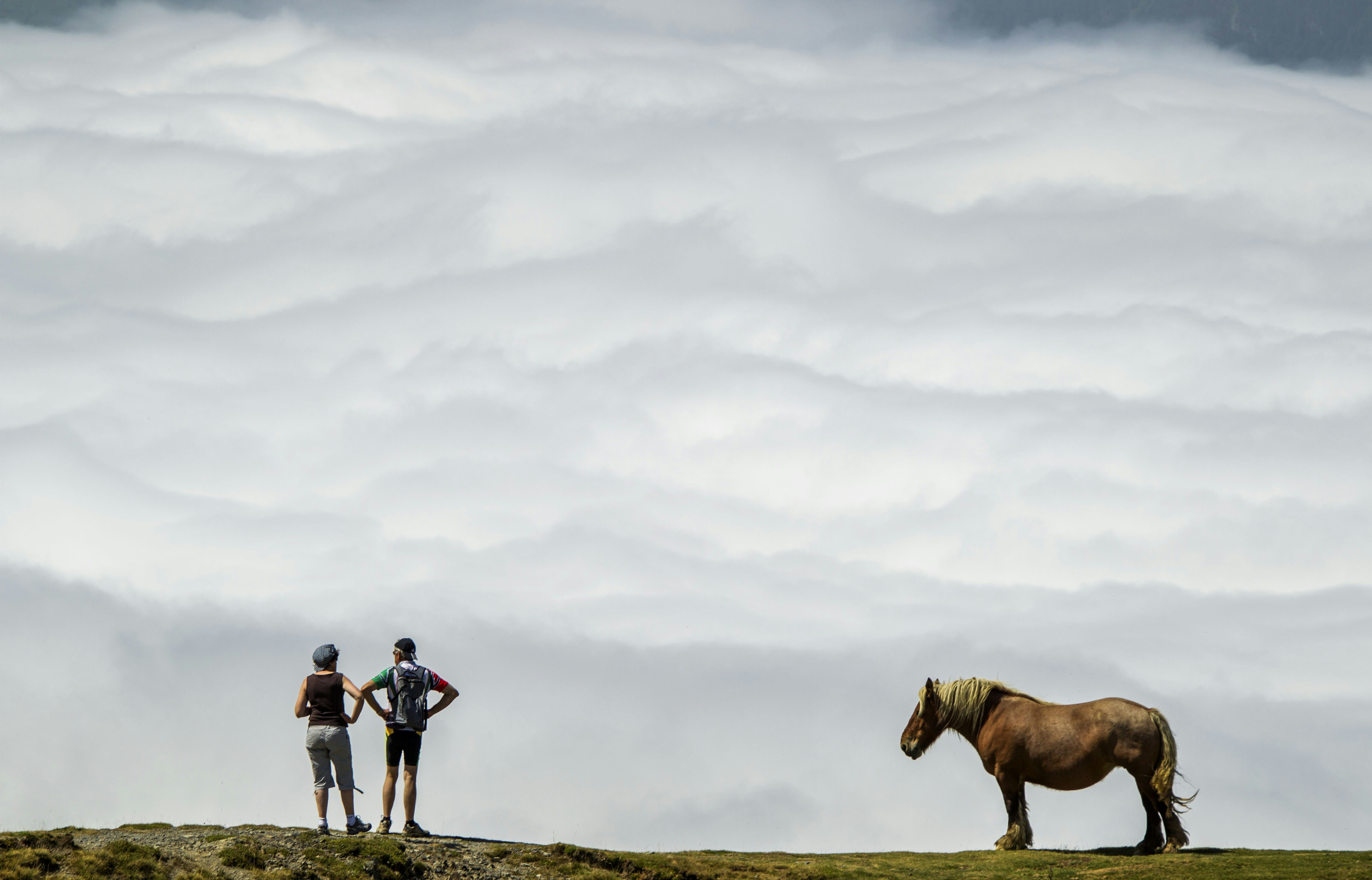 Two hikers stand hand in hand, gazing over a sea of clouds, while a solitary horse observes the scene nearby.