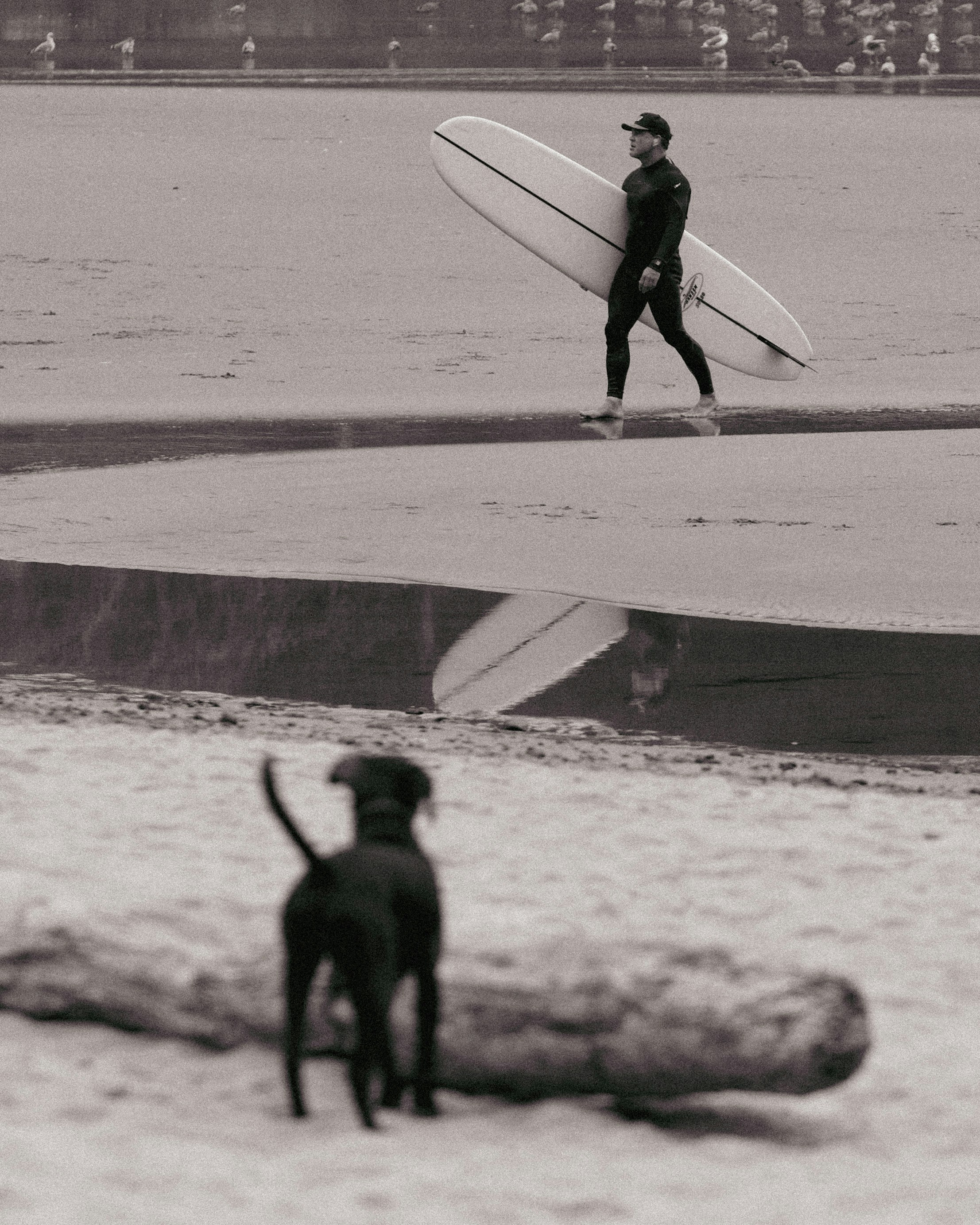 Surfer with Surfboard Striding Along Tidal Rim