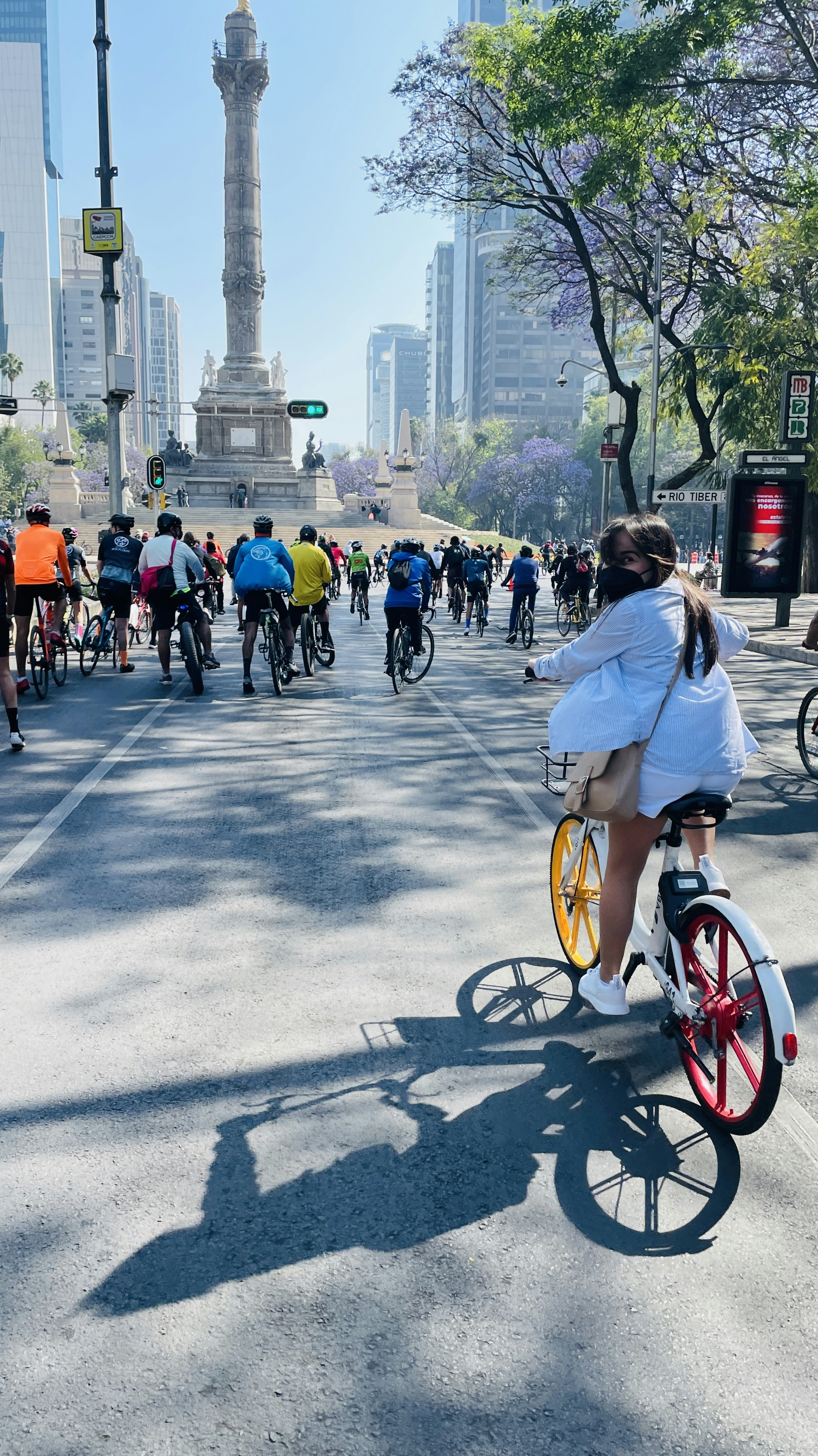 A group of people riding bicycles on a street photo – Free Wheel Image ...