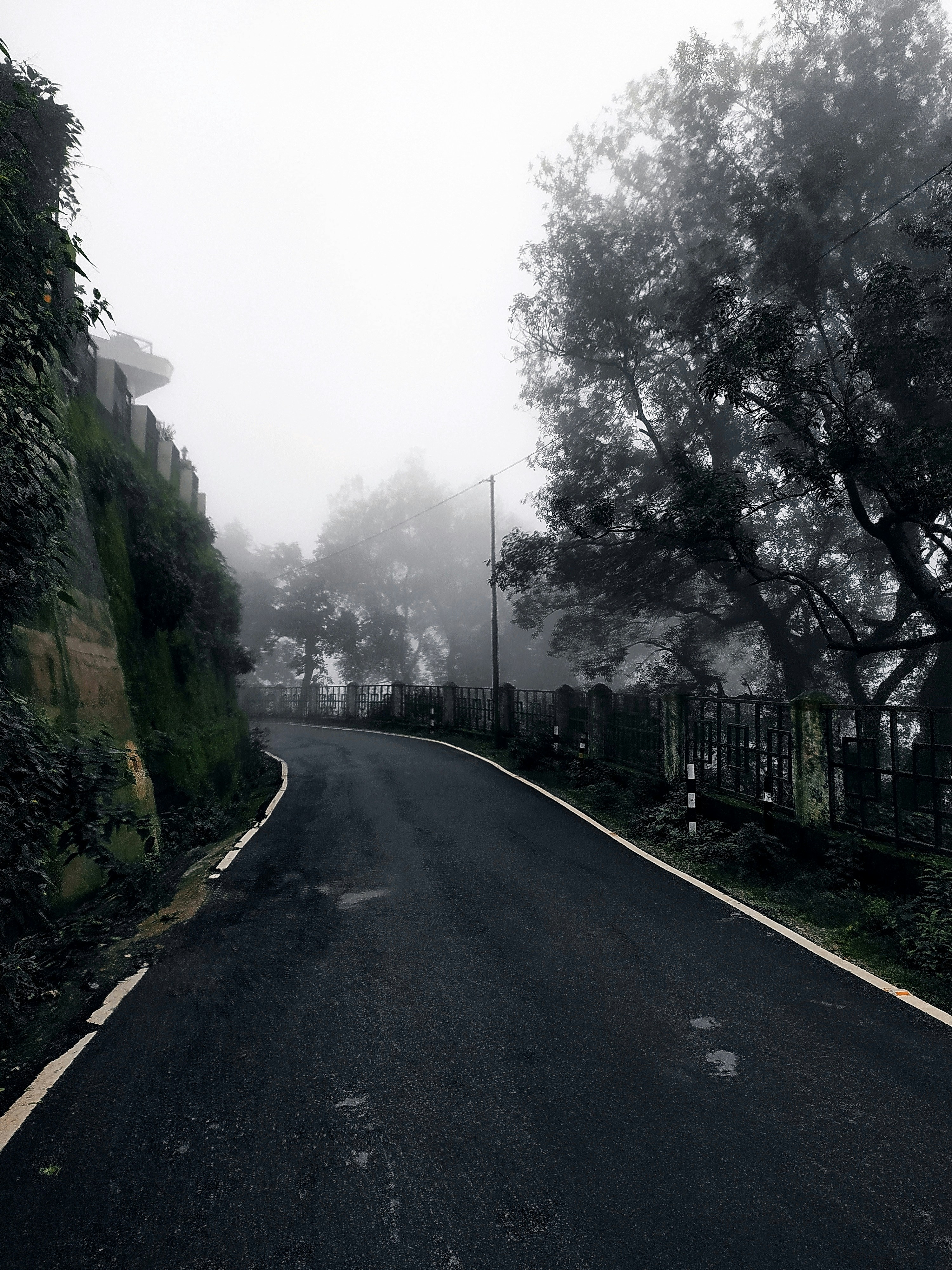 Winding road shrouded in fog, flanked by lush greenery and silhouetted trees. The scene evokes a sense of mystery and tranquility.