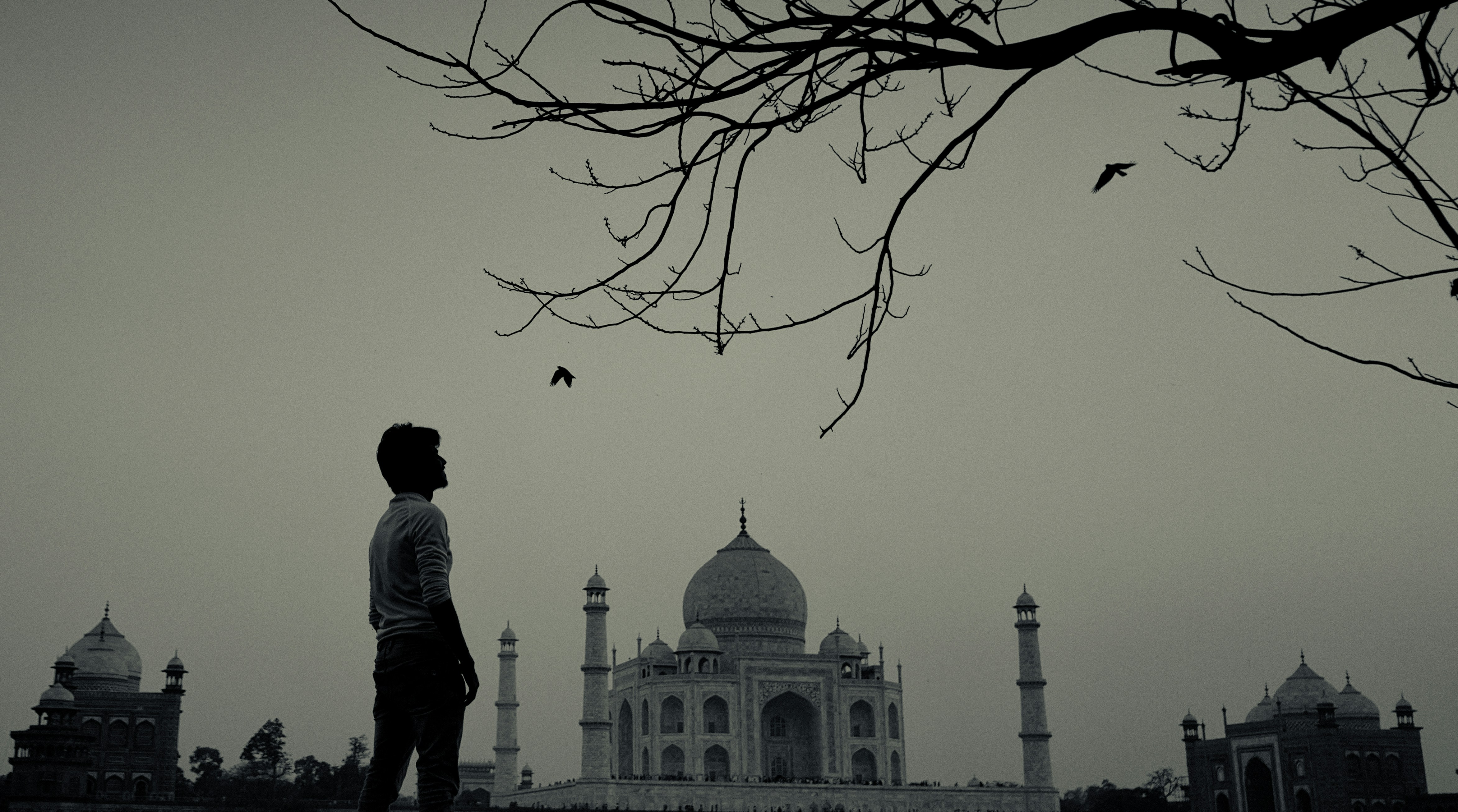 Lone Figure in Twilight Before the Taj Mahal