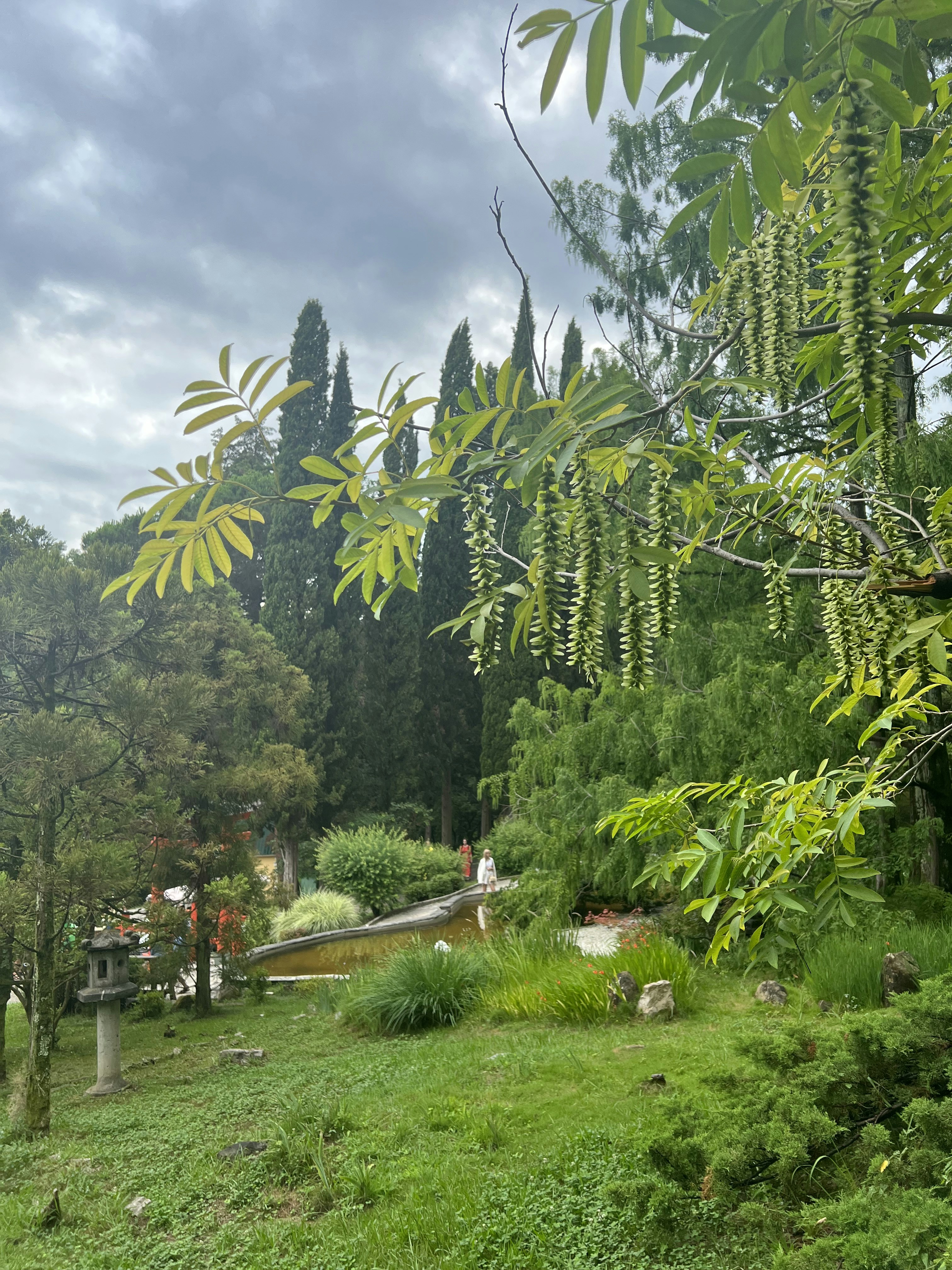 Tranquil Garden by the Pond: A Subtle Moment Beneath Verdant Canopy