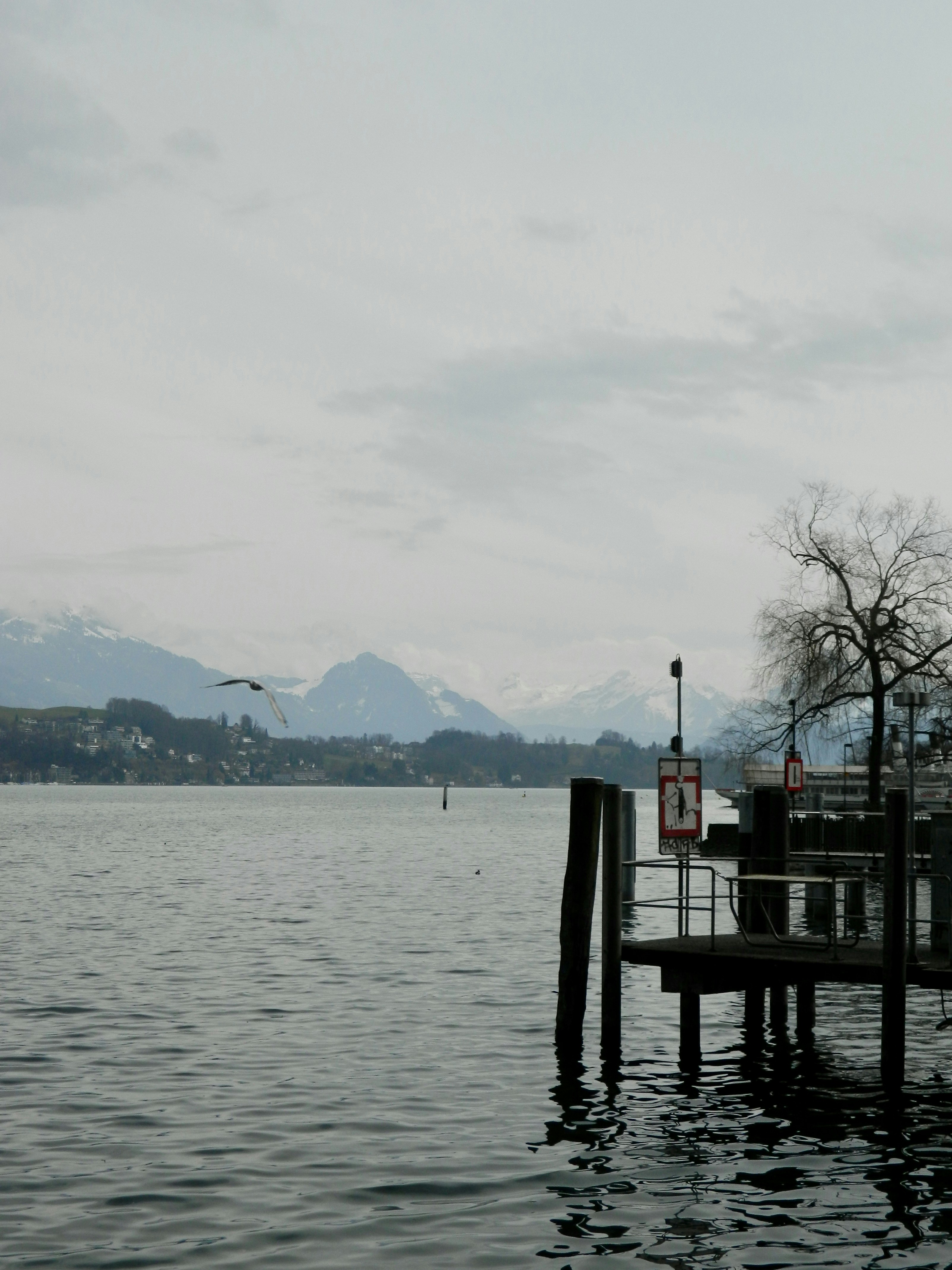 A tranquil lakeside scene featuring a wooden pier and distant mountains under a cloudy sky. A bird glides gracefully above the water's surface.