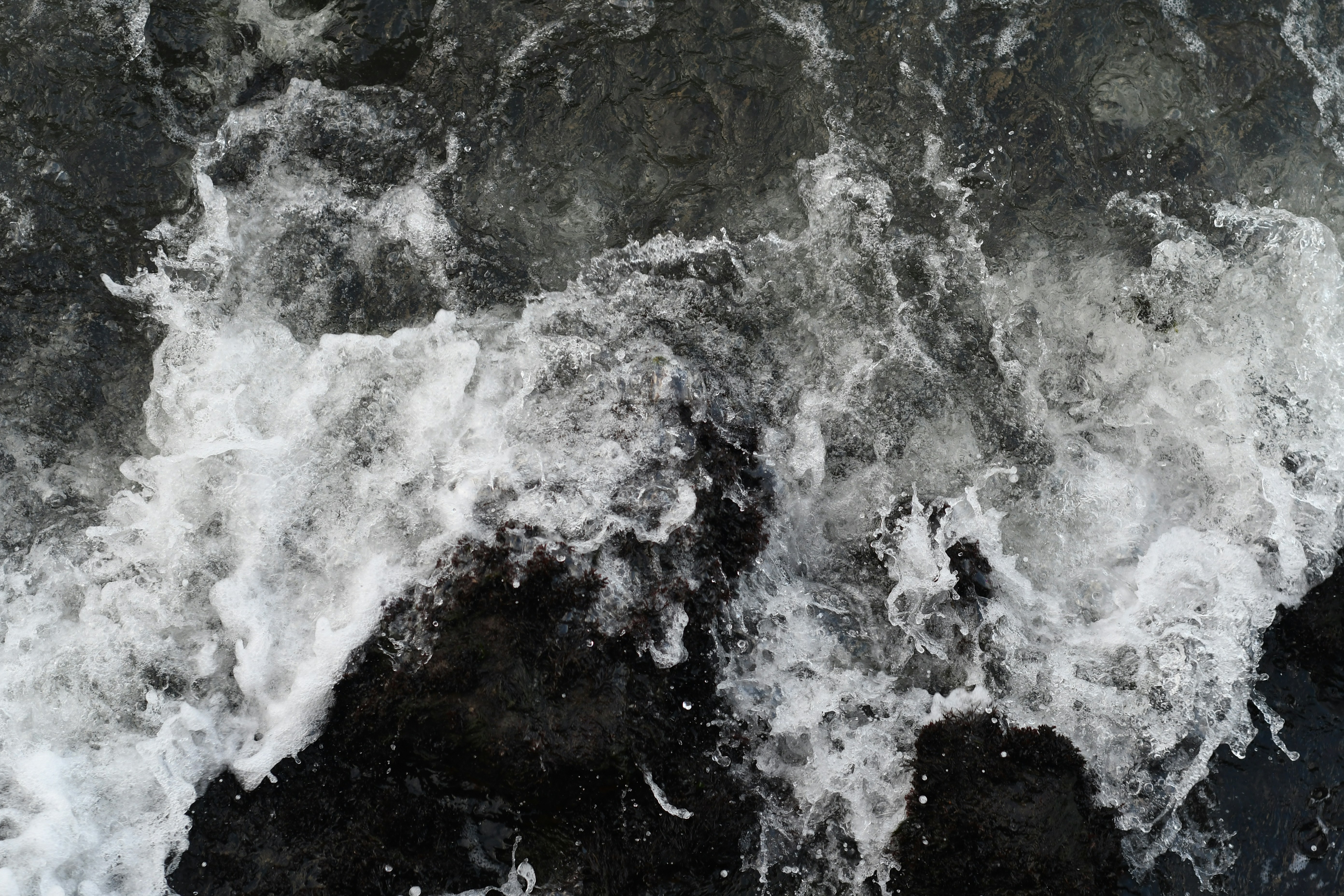 Anthropocene Pictures | Download Free Images on Unsplash