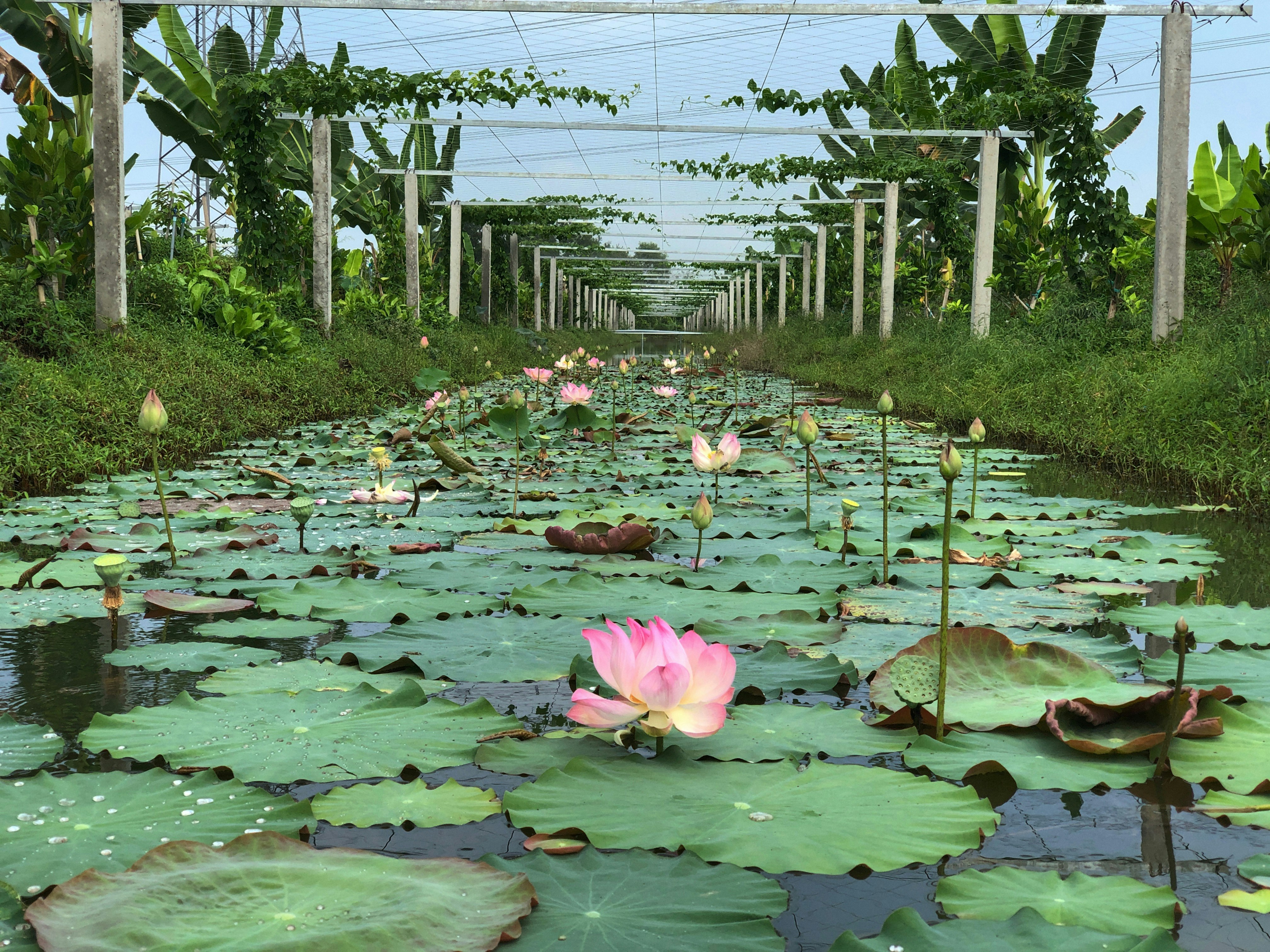 Lay Pictures | Download Free Images on Unsplash