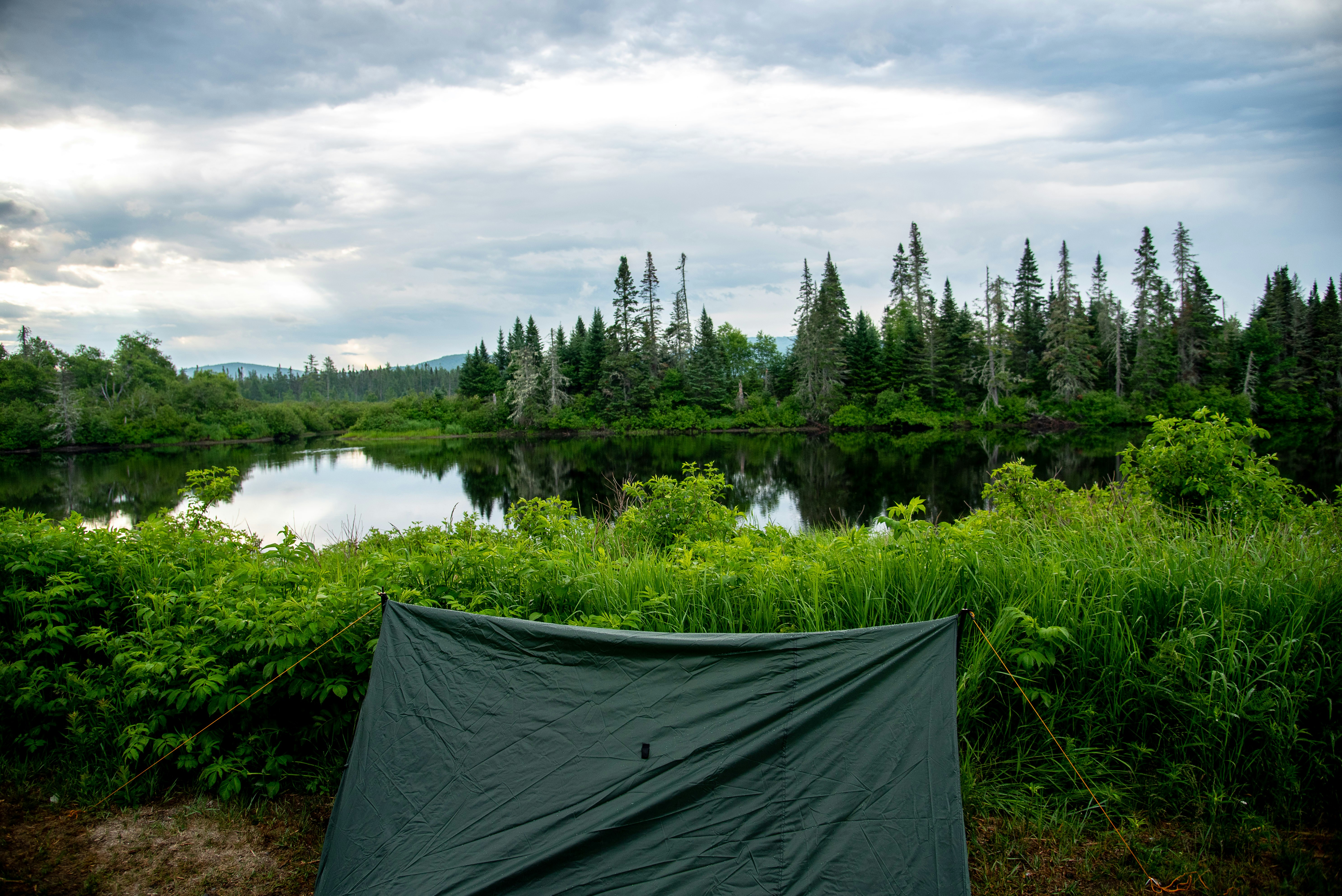 Tranquil Riverside Campsite Amidst Verdant Wilderness