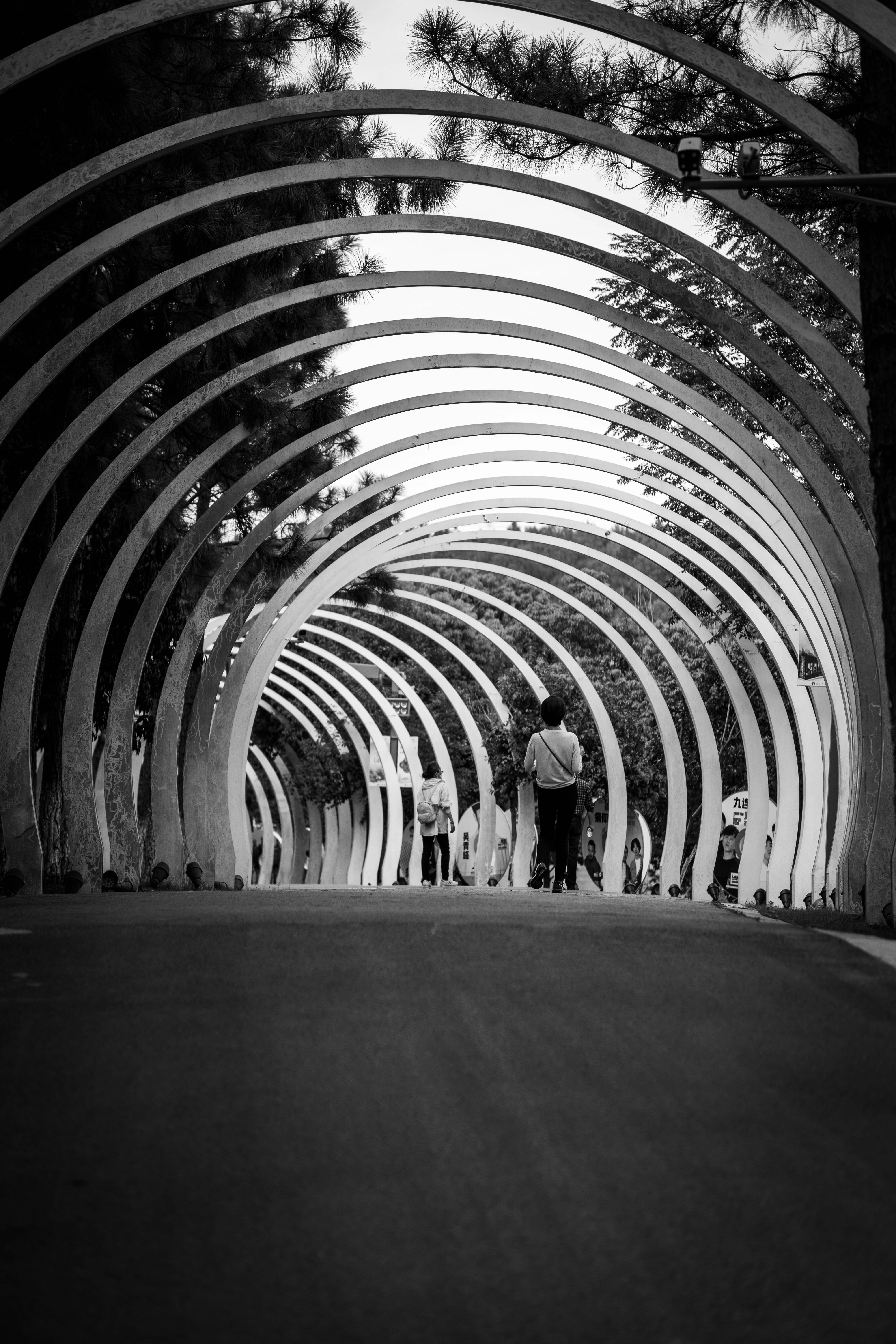 Circles in Transit: A Walk Through Concentric Arches