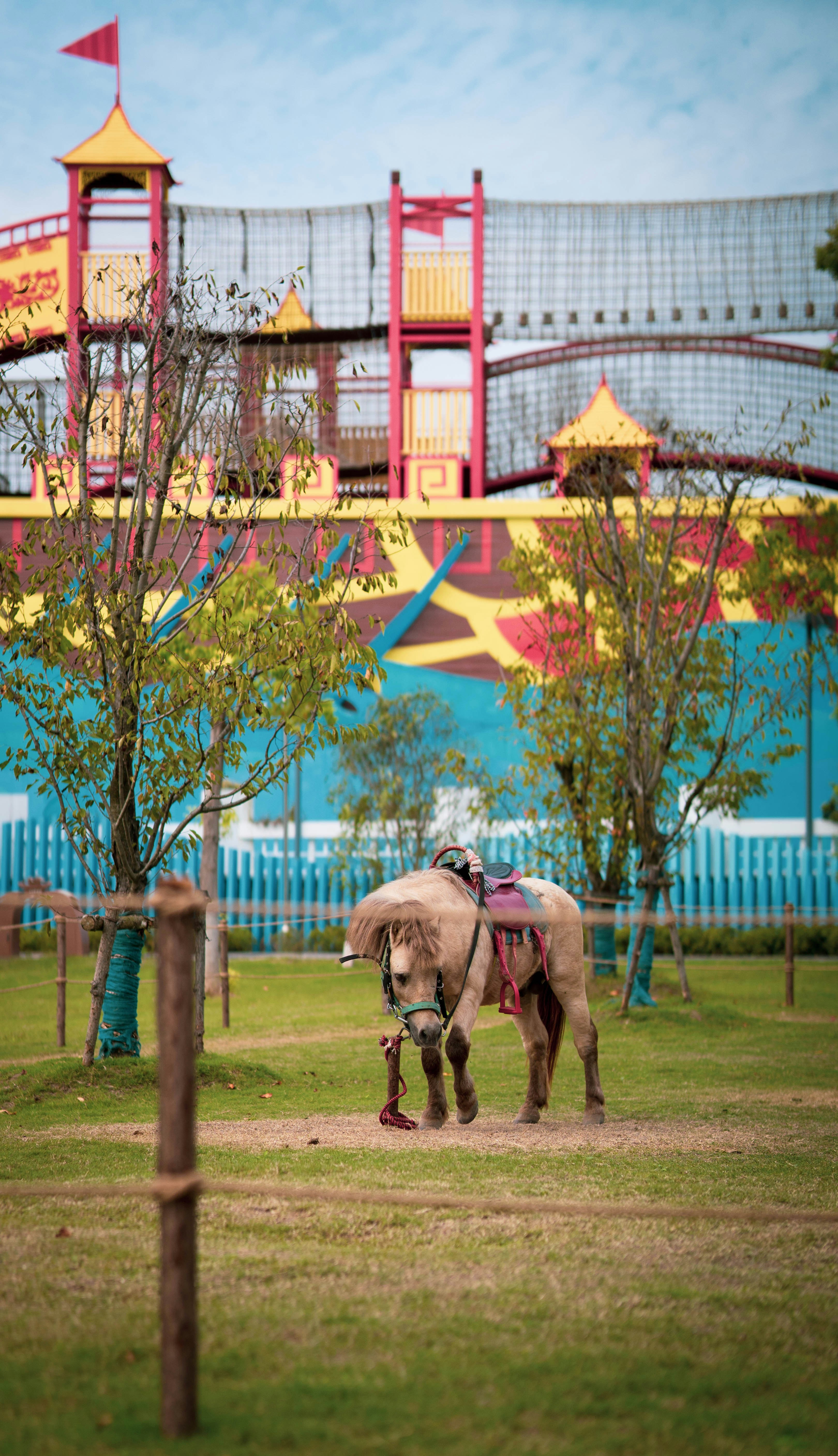 Equine Pause at the Kaleidoscopic Parkfront