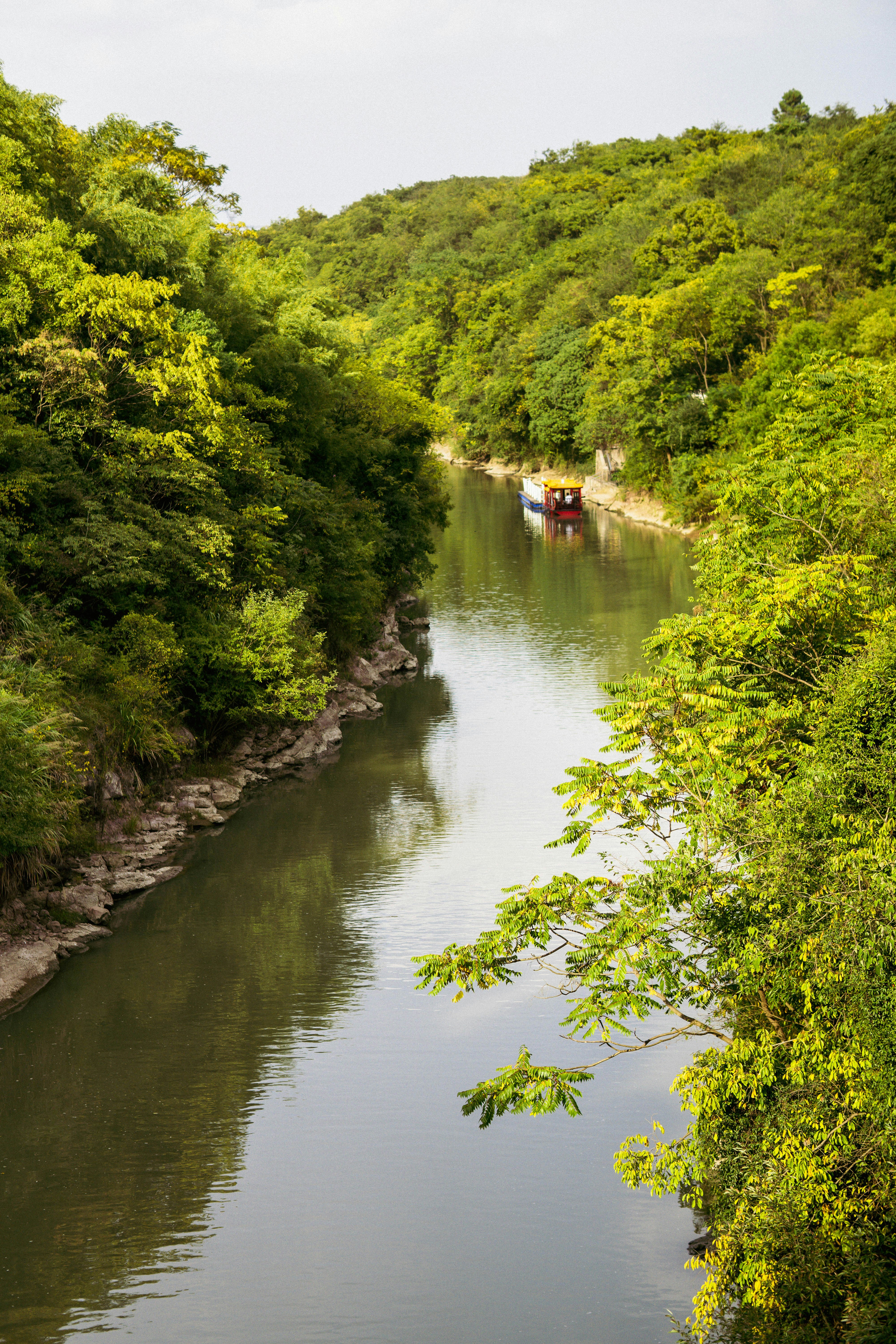 Serenity on the Waterway