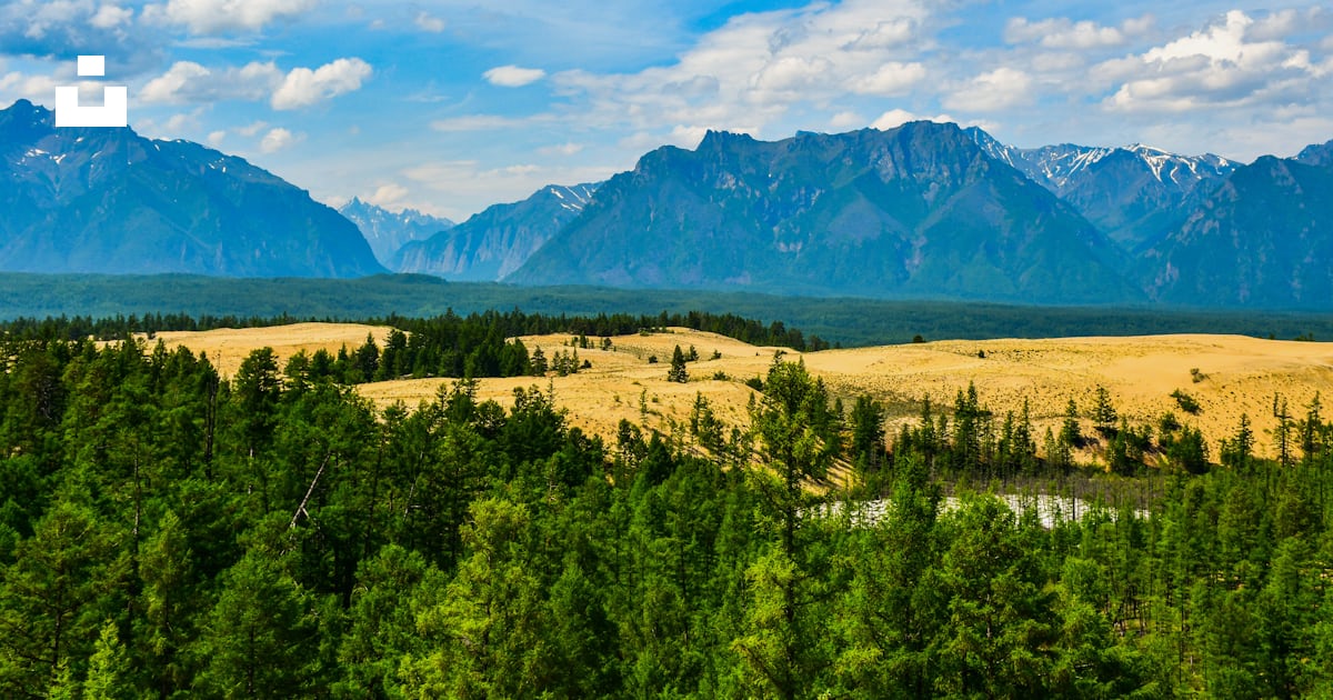 木々や山々を背景にした風景の写真 Unsplashのロシアの無料画像