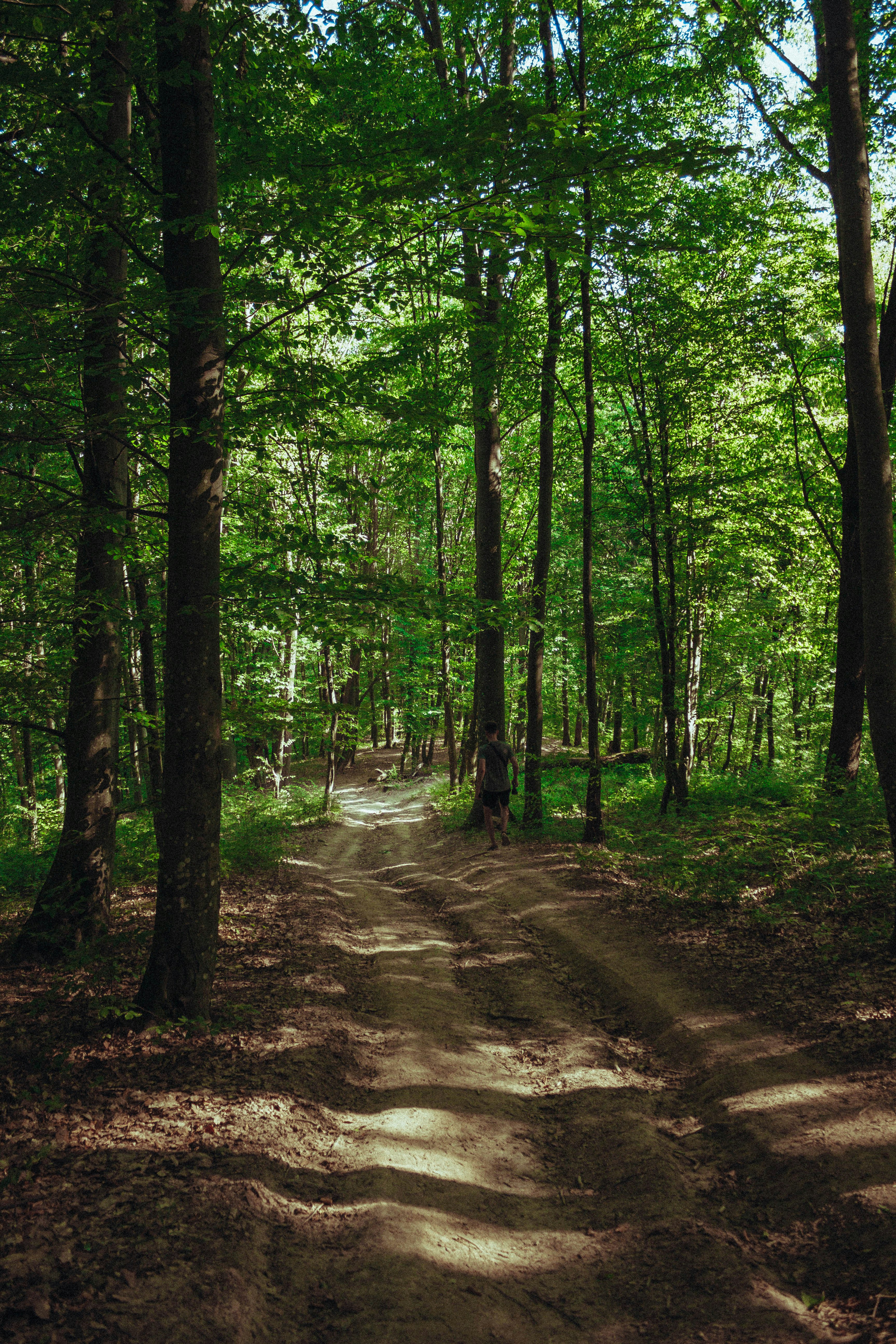 Photo by Pavlo Volostnov 🇺🇦 with Canon EOS 550D