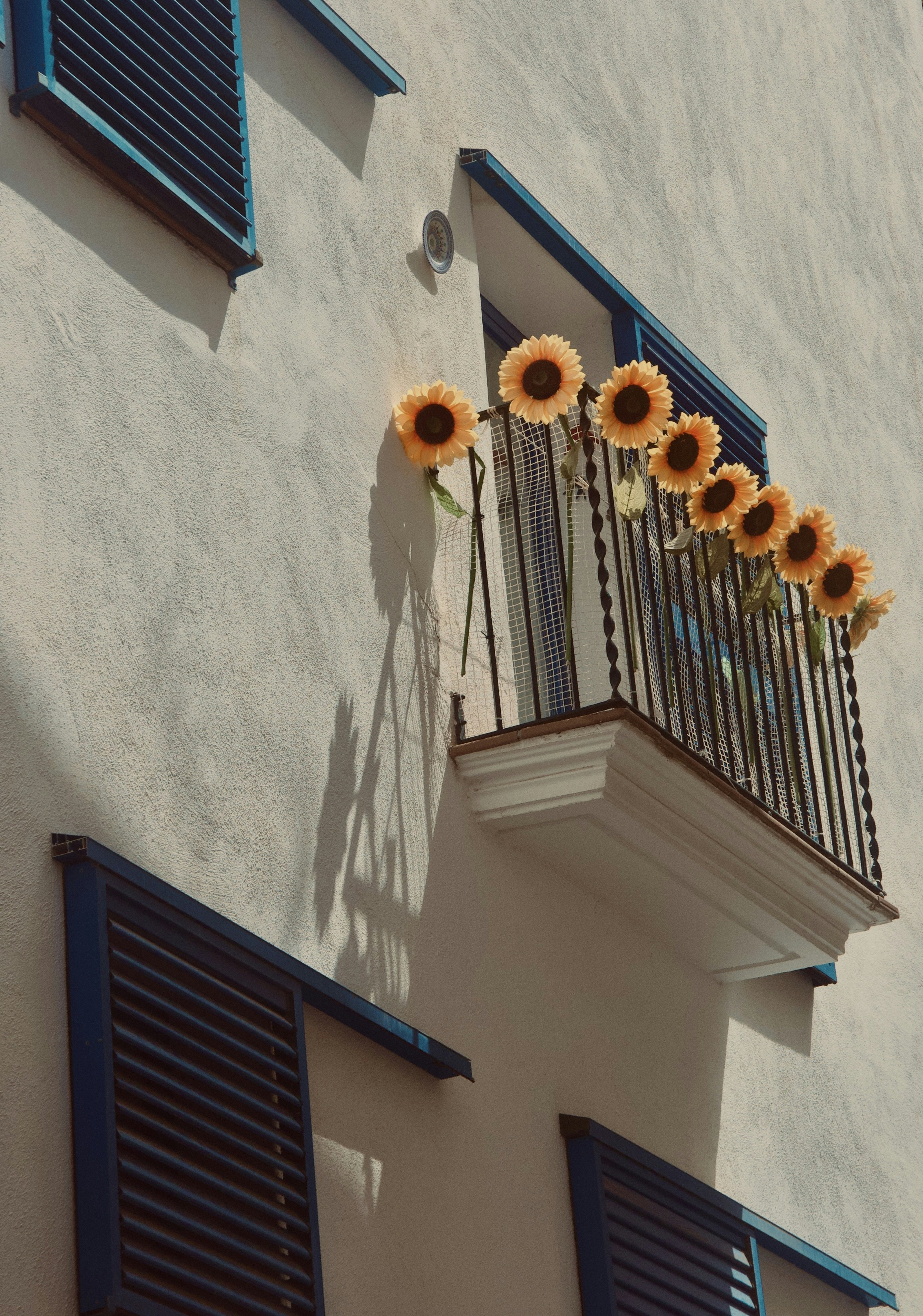 Sunflower Balcony on a Sea-Blue Facade