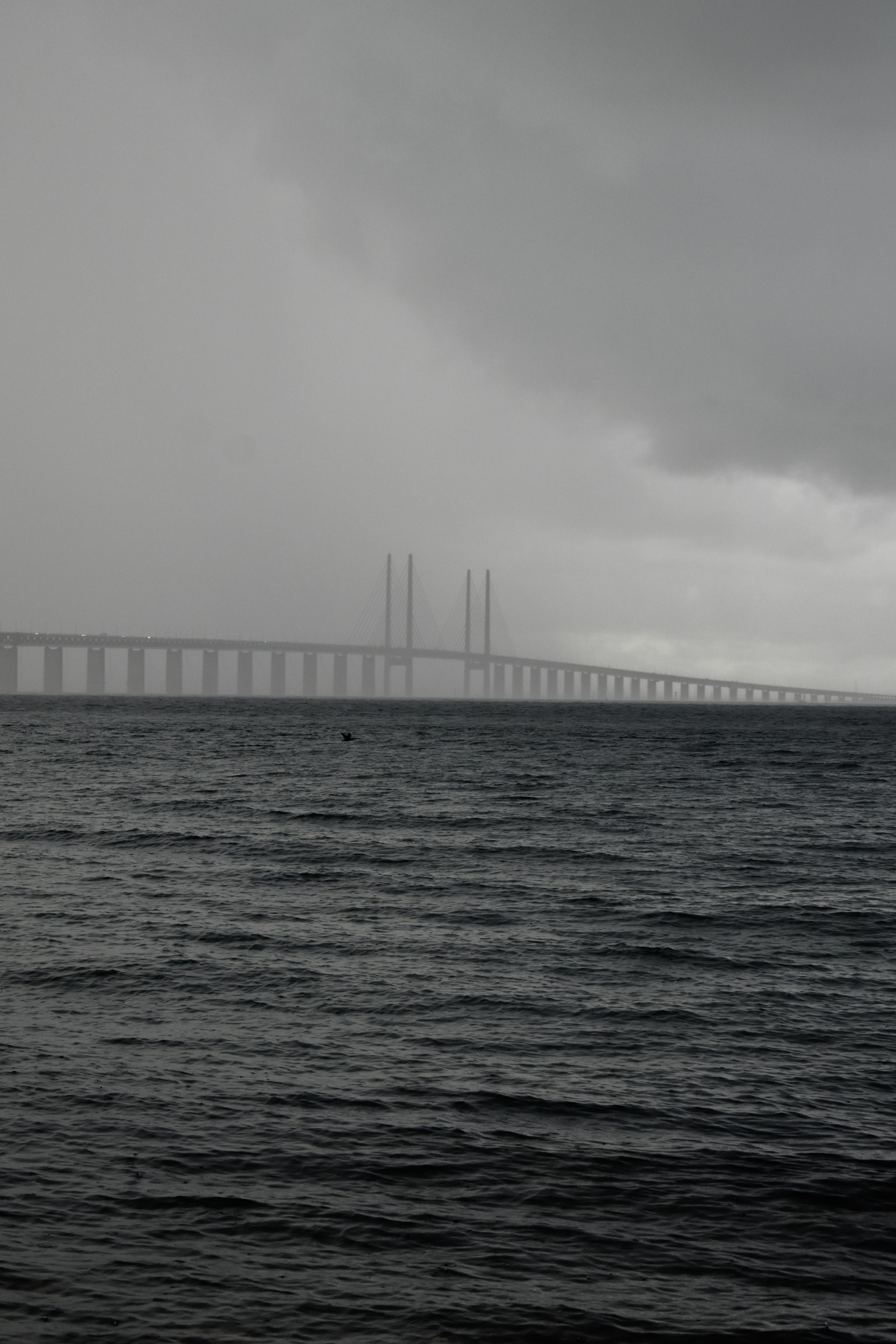 Photo by Anastasiya D with Nikon D3500