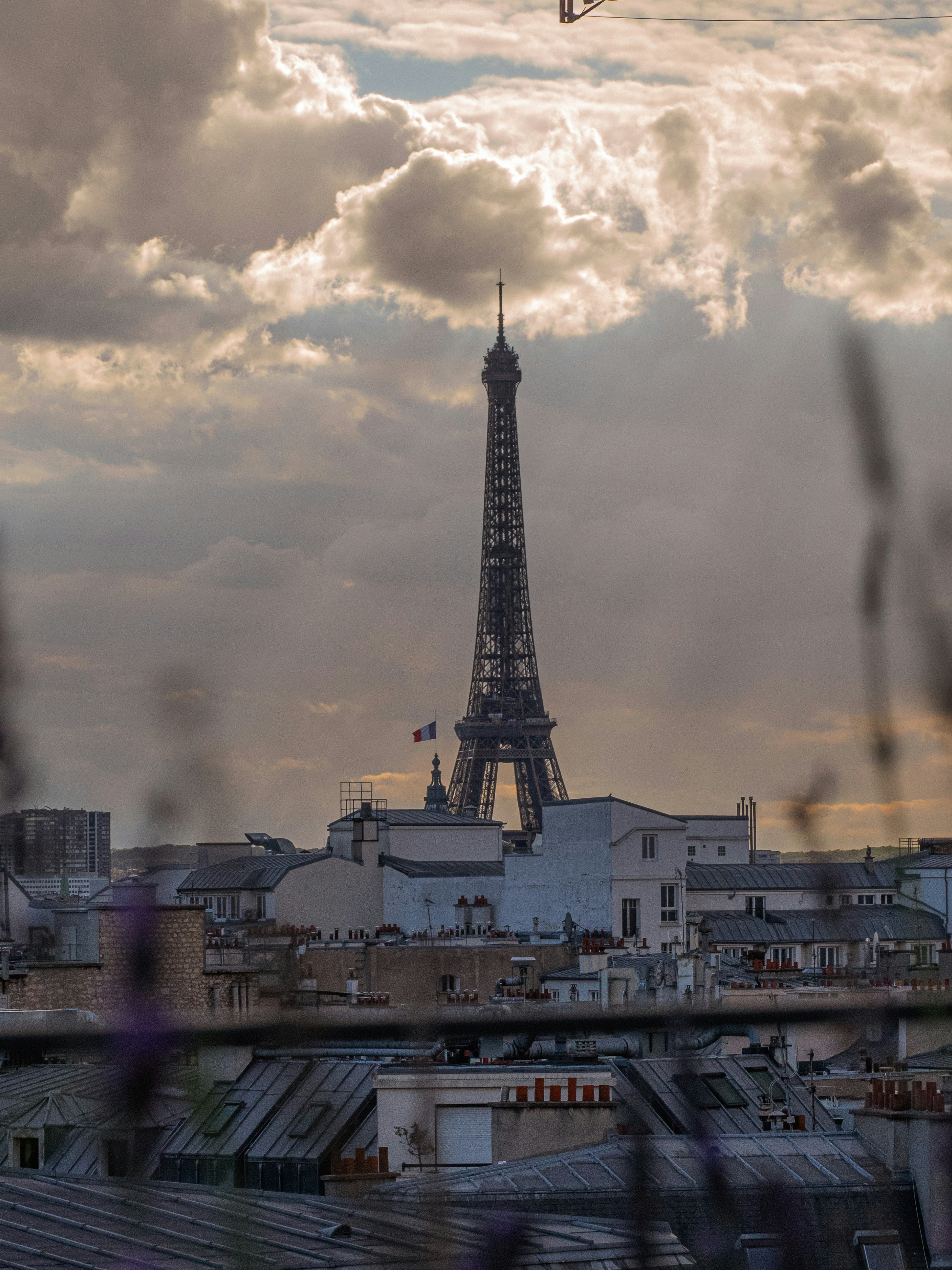 Sample photo from Panasonic Lumix FZ330