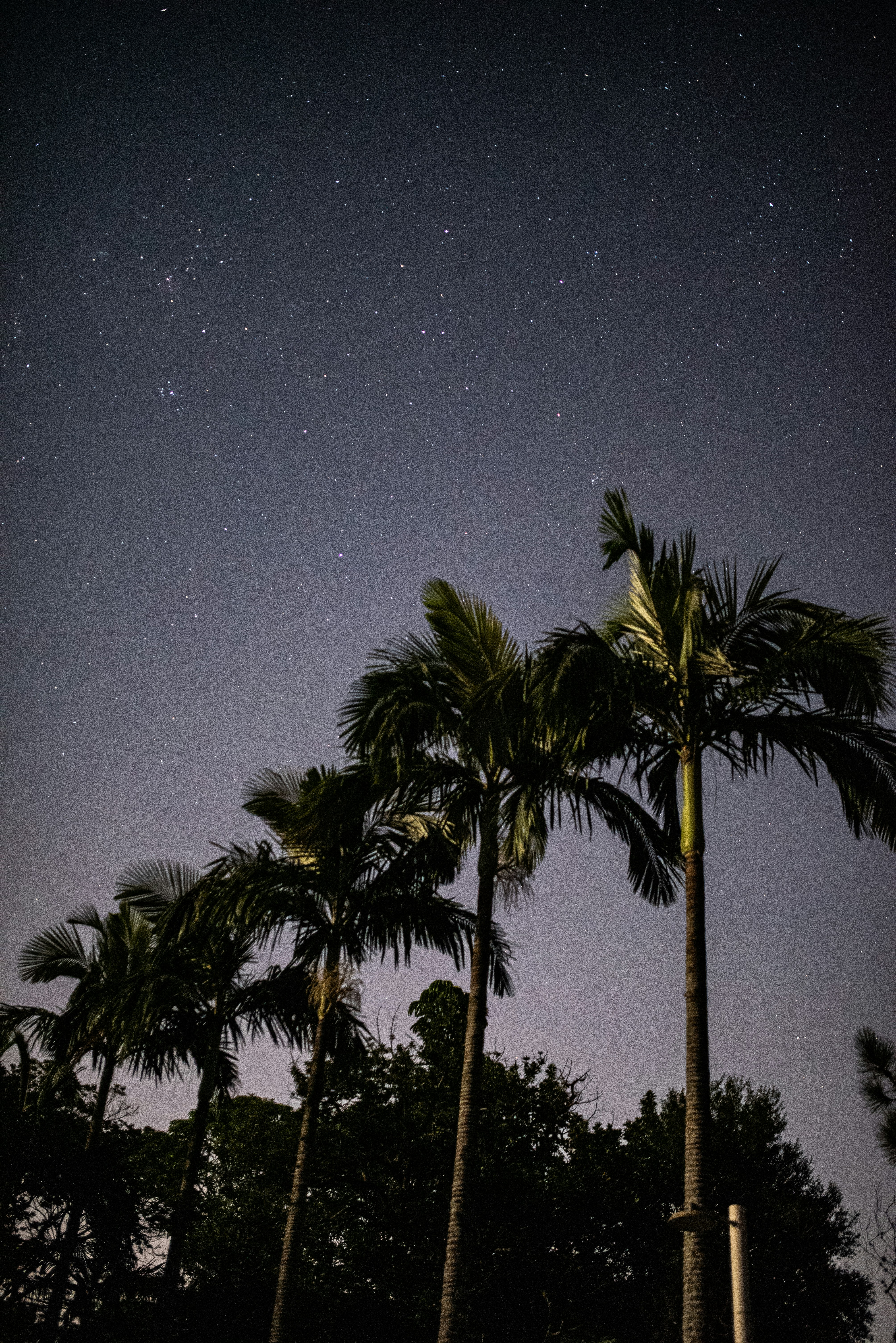 For exclusive photos for your company, website or app message me here on unsplash.