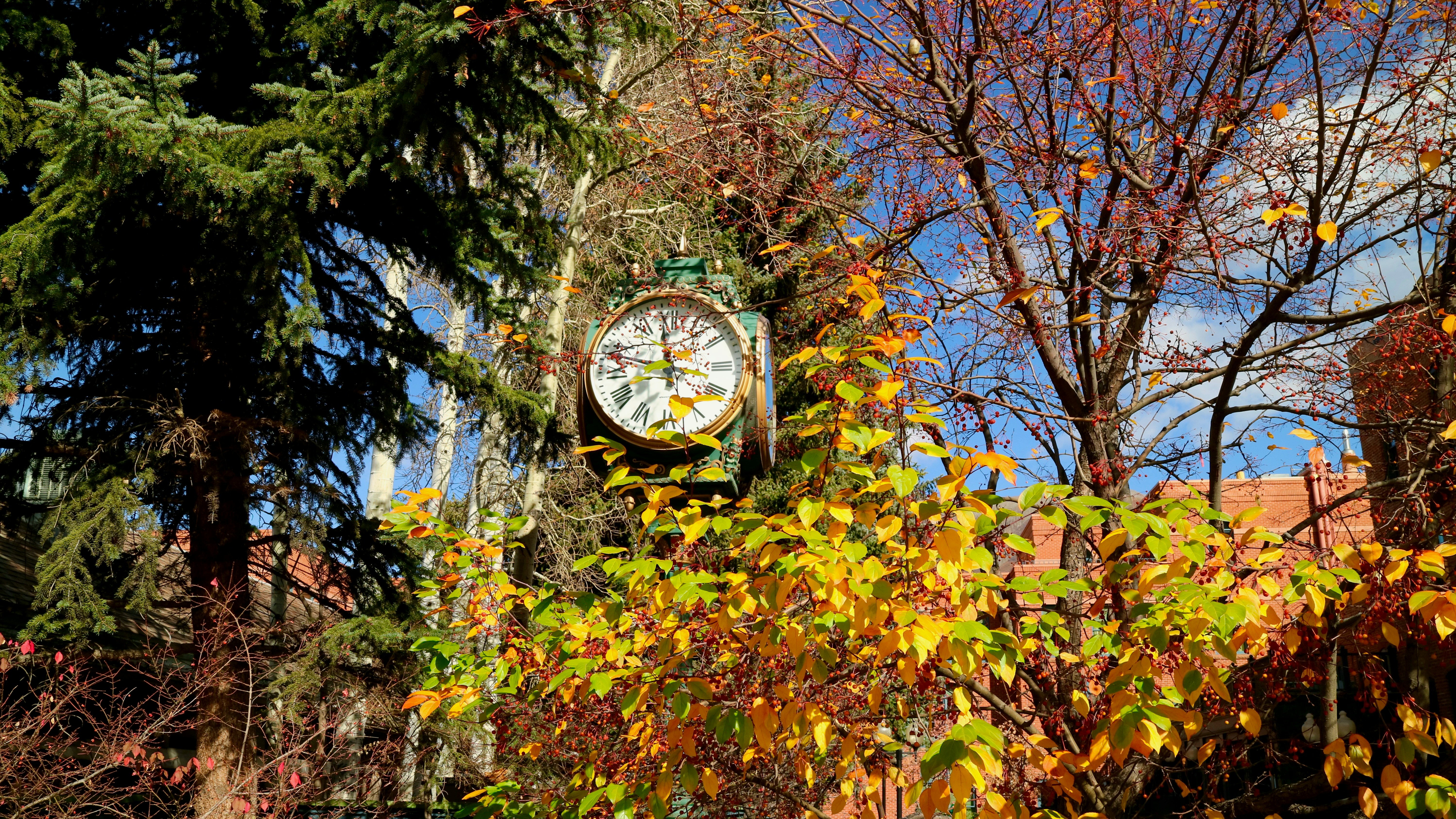 A clock in a garden photo – Free Aspen Image on Unsplash