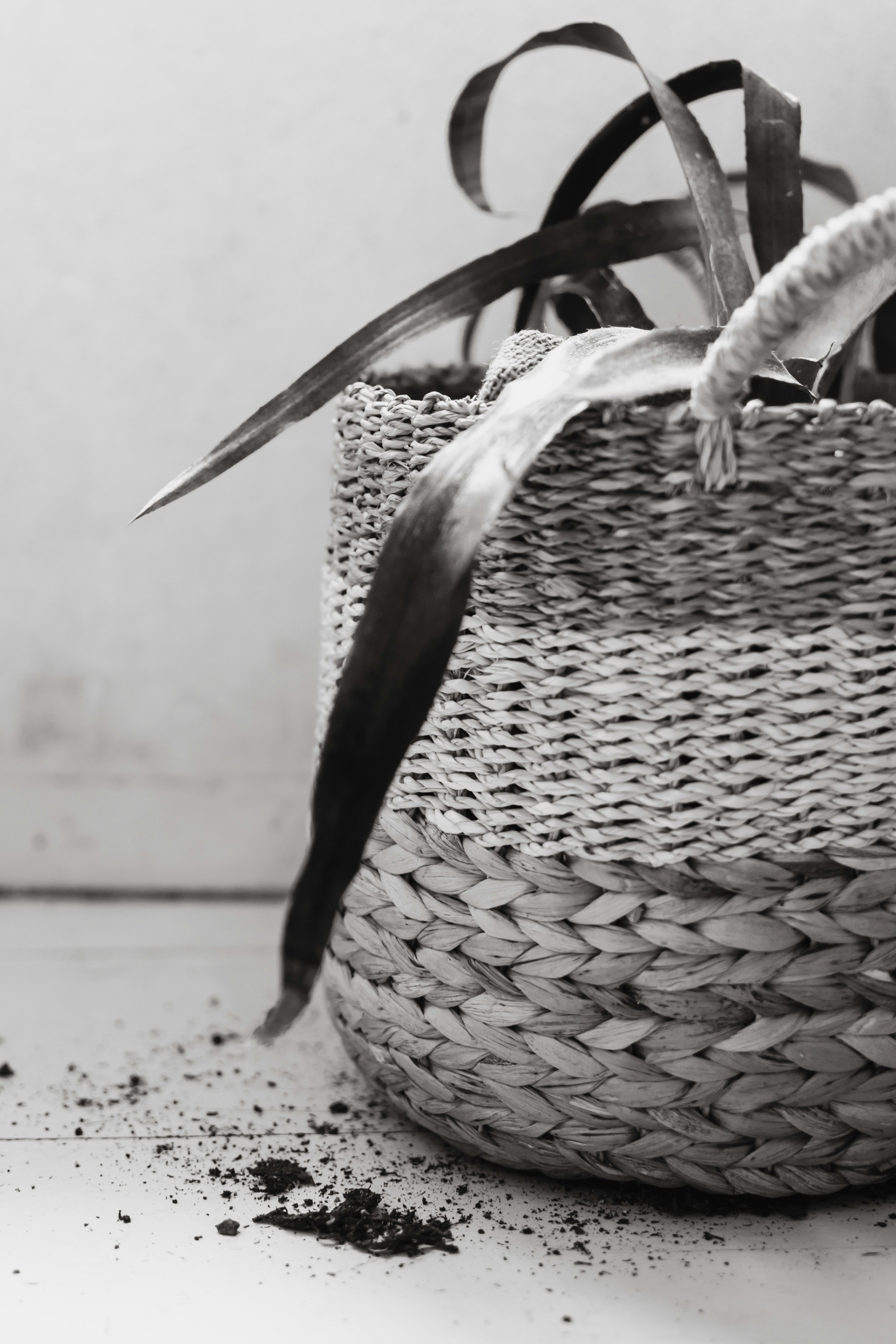 Weave and Whisper: Close-Up of a Straw Basket's Texture and Leaves