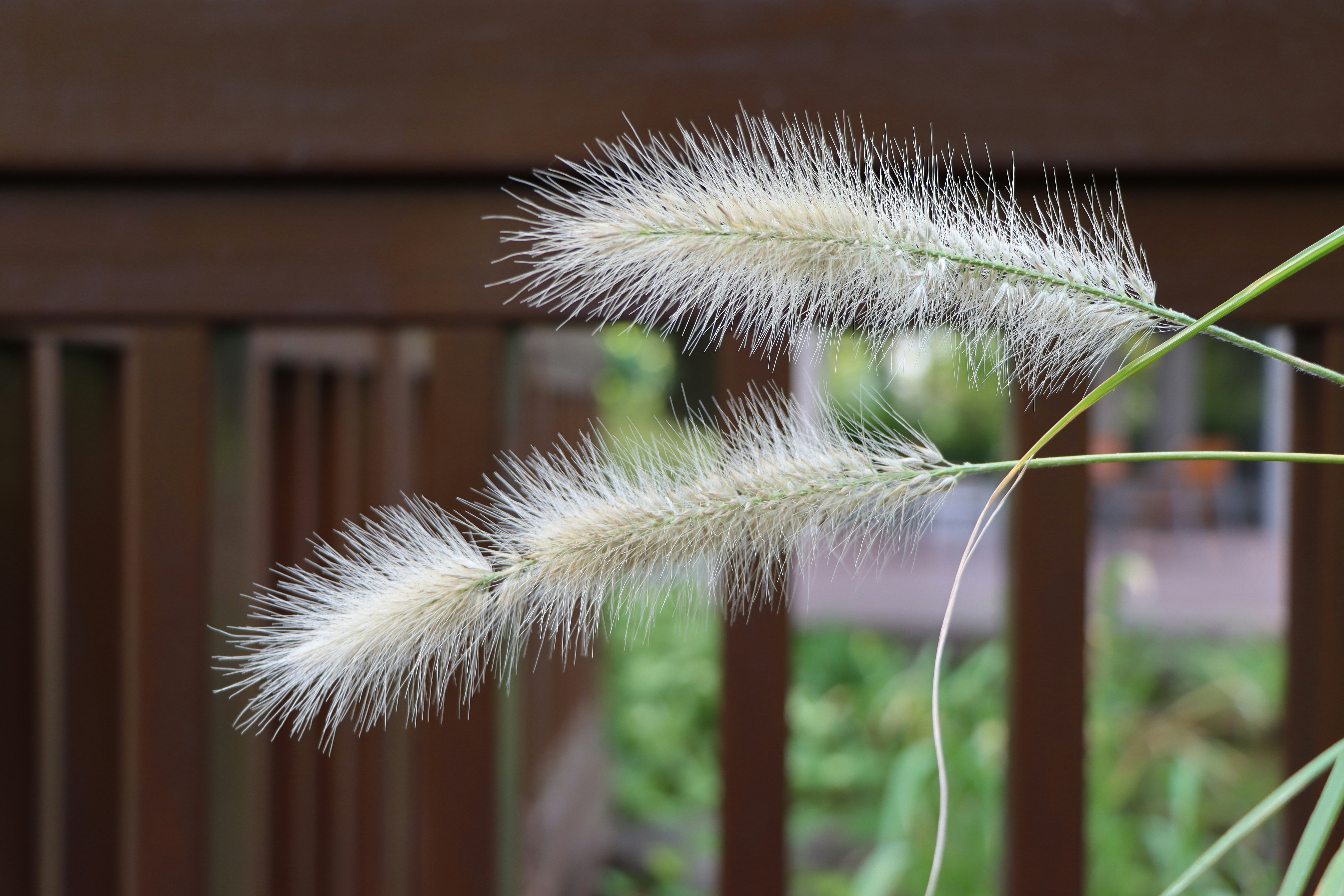 Nikki Son (@areumdown) | Unsplash 사진 커뮤니티