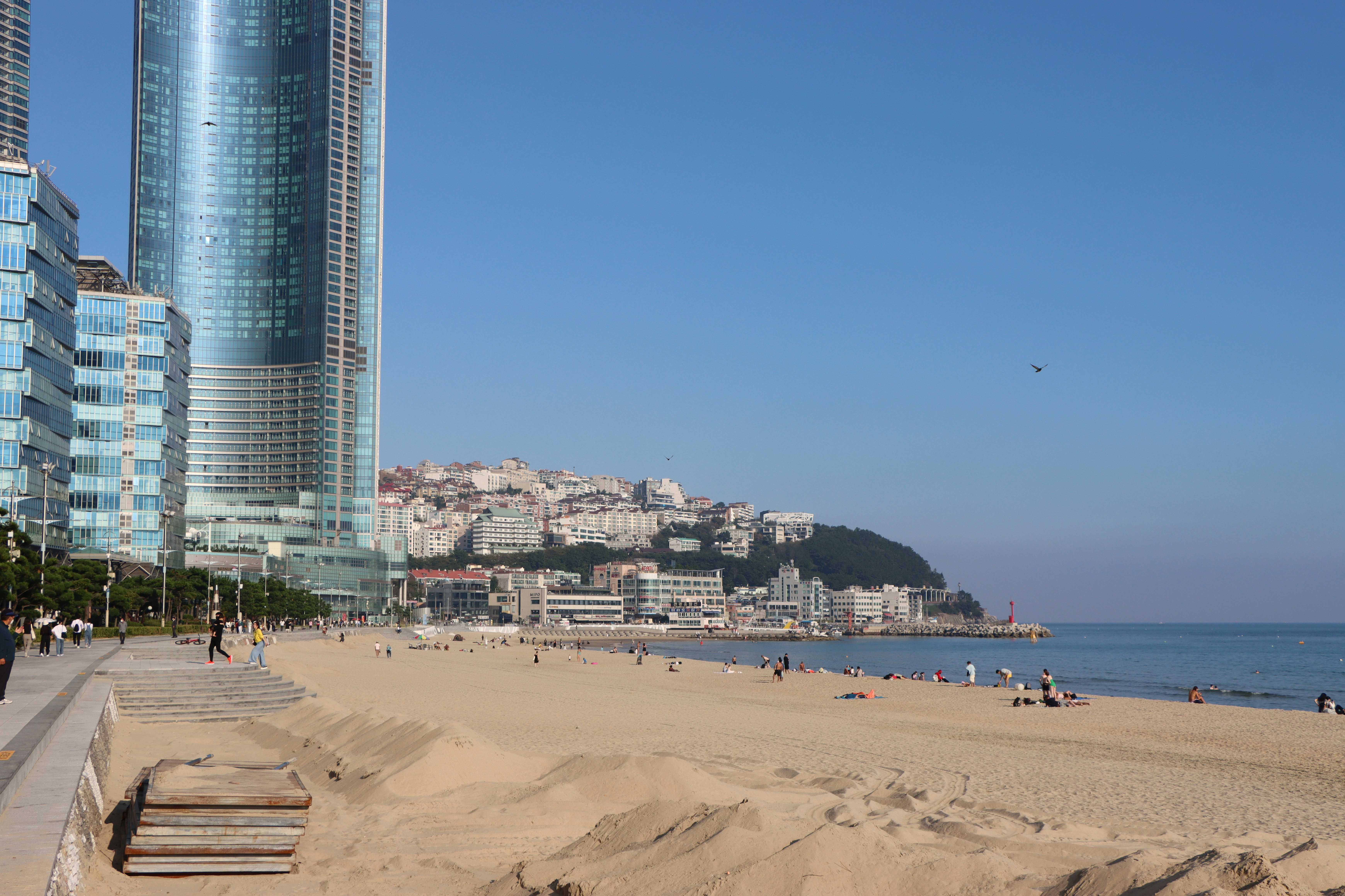 Nikki Son (@areumdown) | Unsplash 사진 커뮤니티