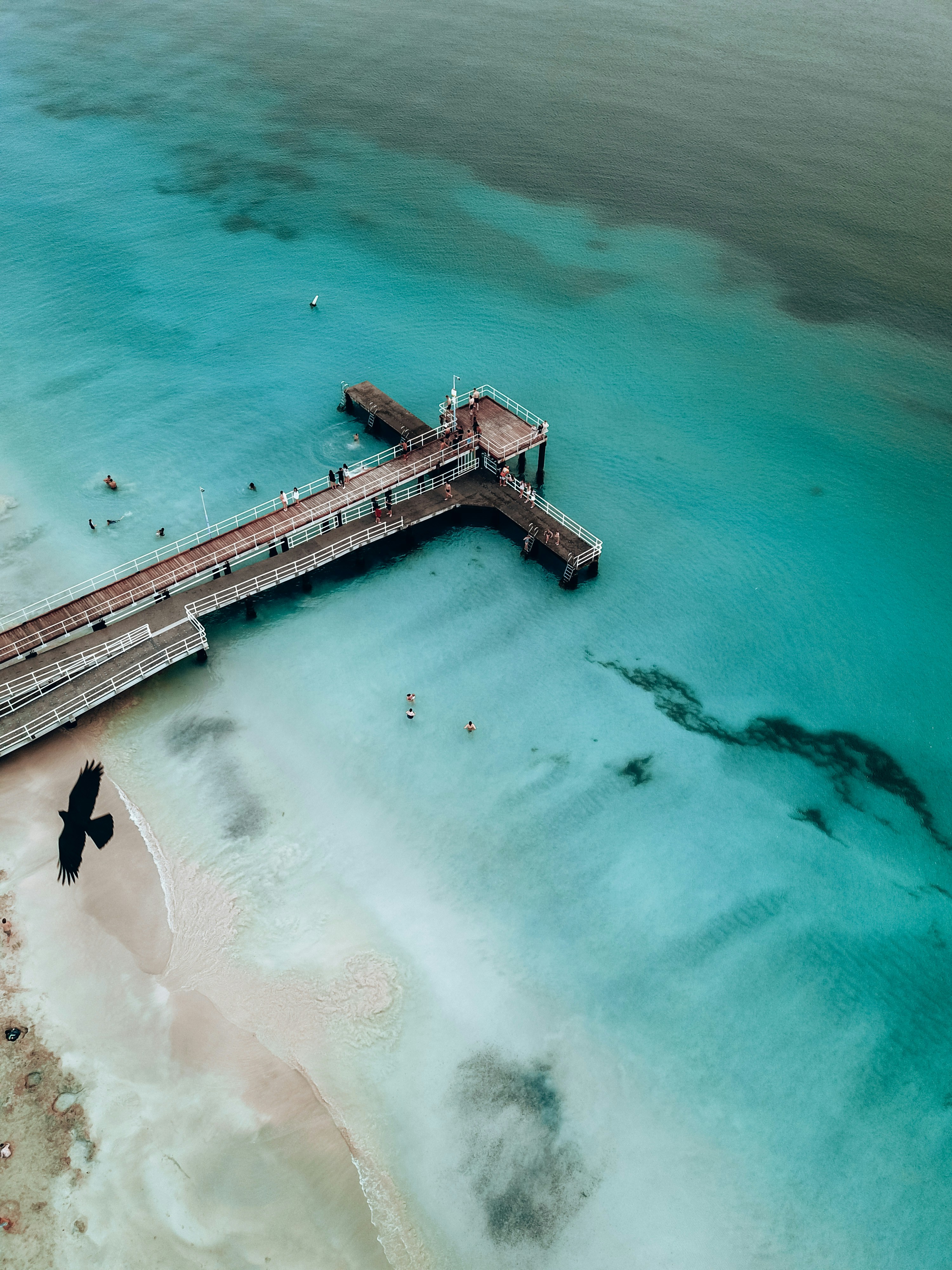 A large wooden structure in the water photo – Free Australia Image on ...