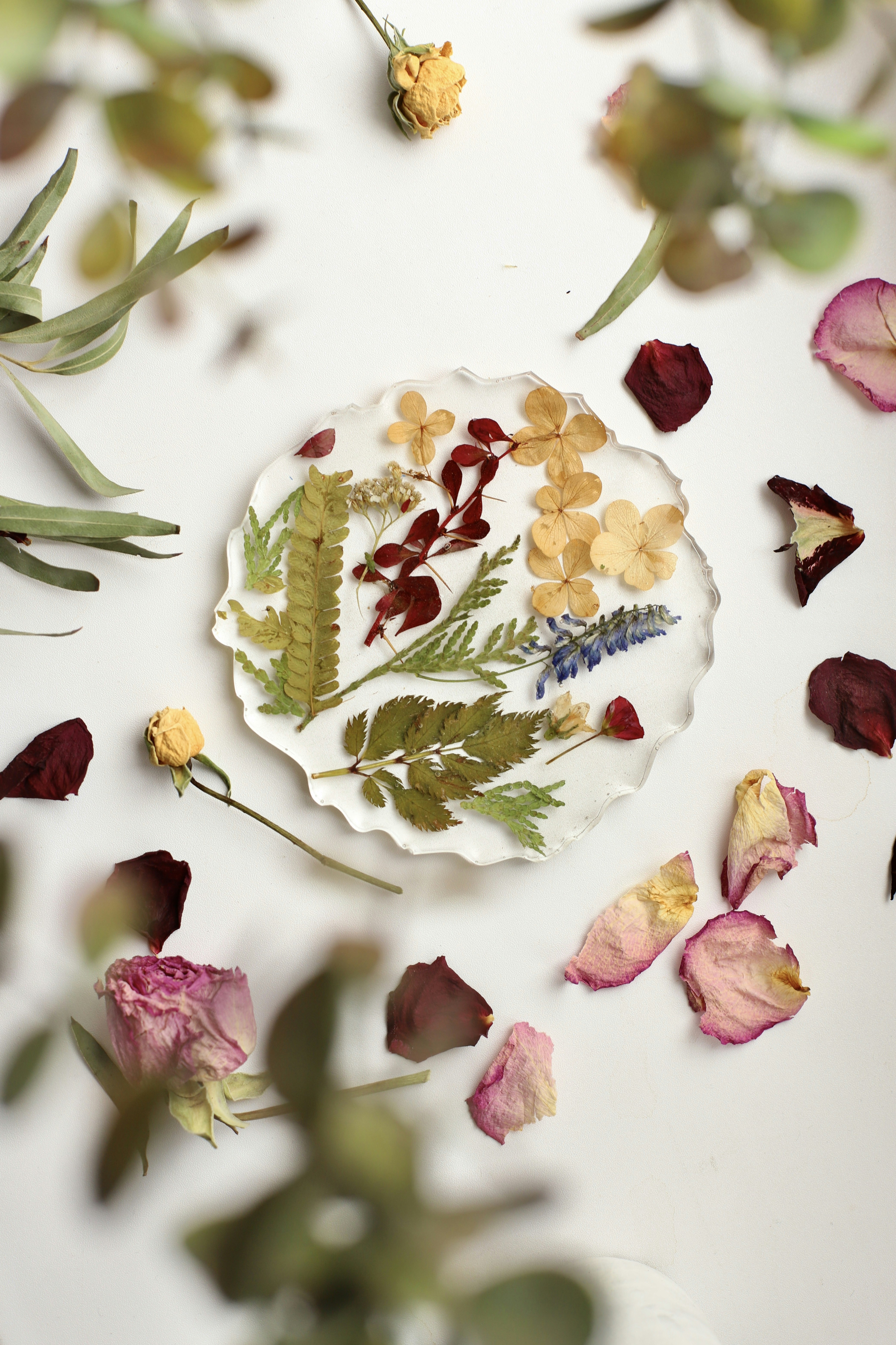 Pressed Palette: A Delicate Arrangement of Leaves and Petals