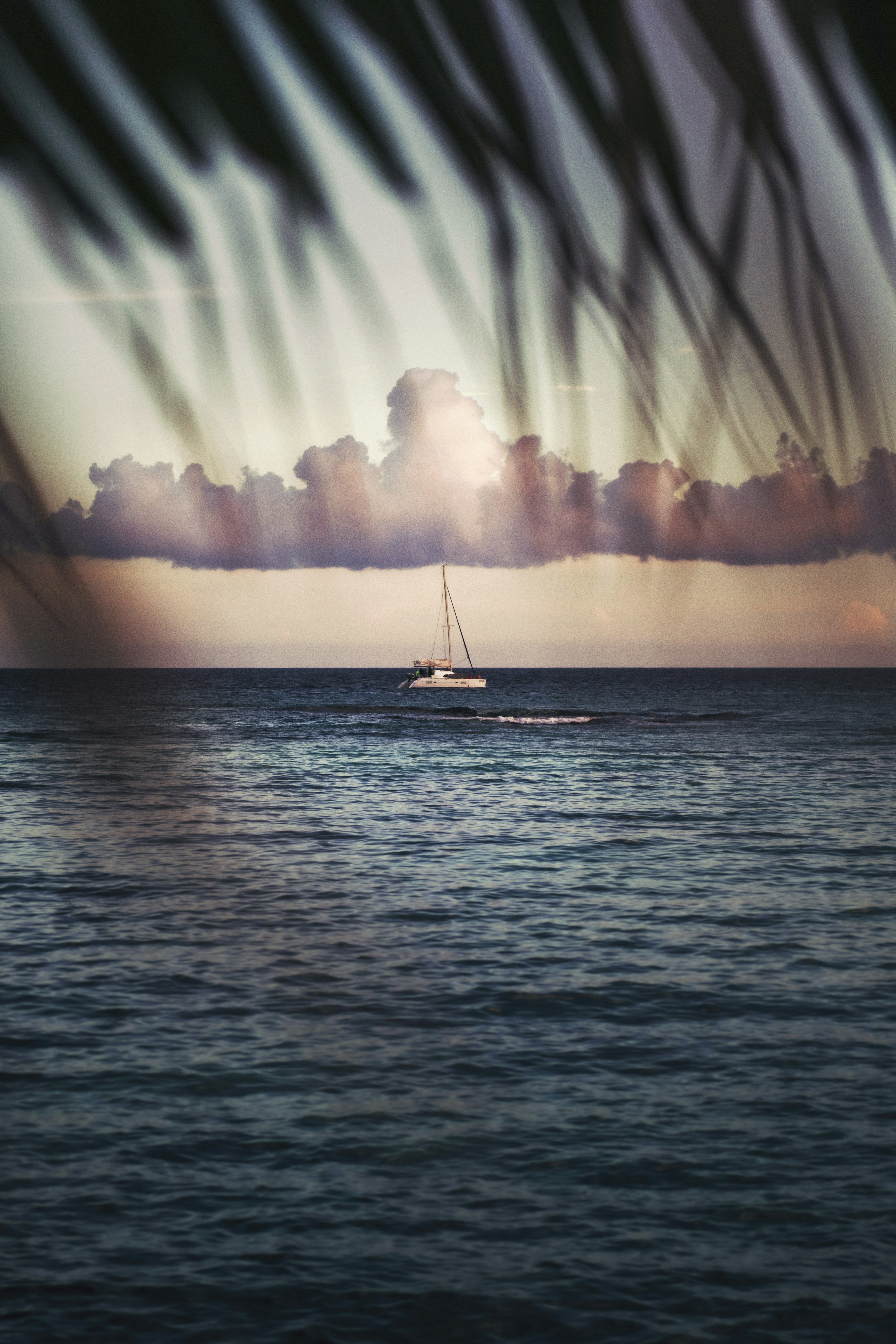 Sailboat on a Quiet Sea Framed by Palm Veils at Dusk