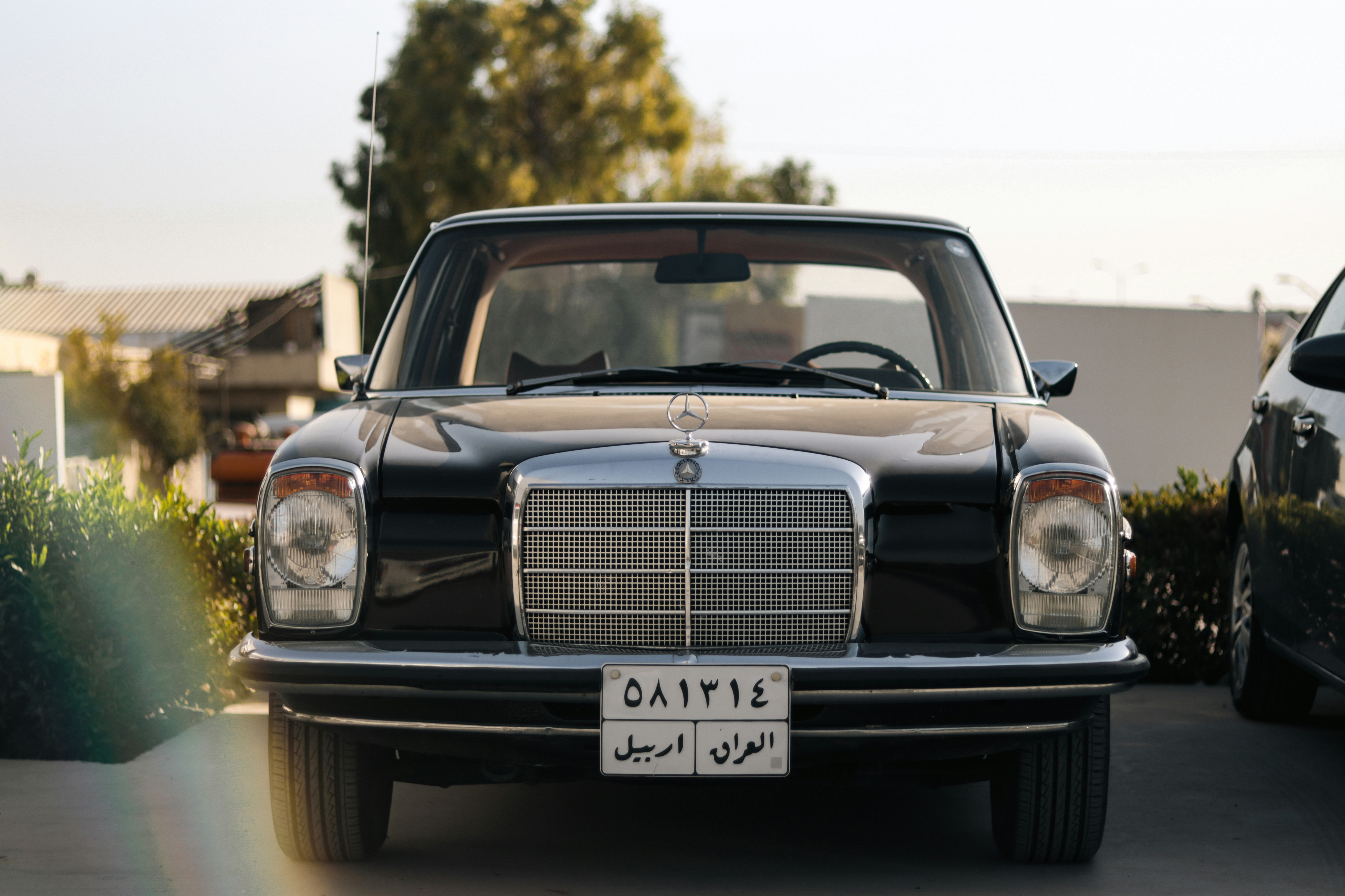 Chrome Grille Portrait: Vintage Mercedes-Benz in a Sunlit Lot