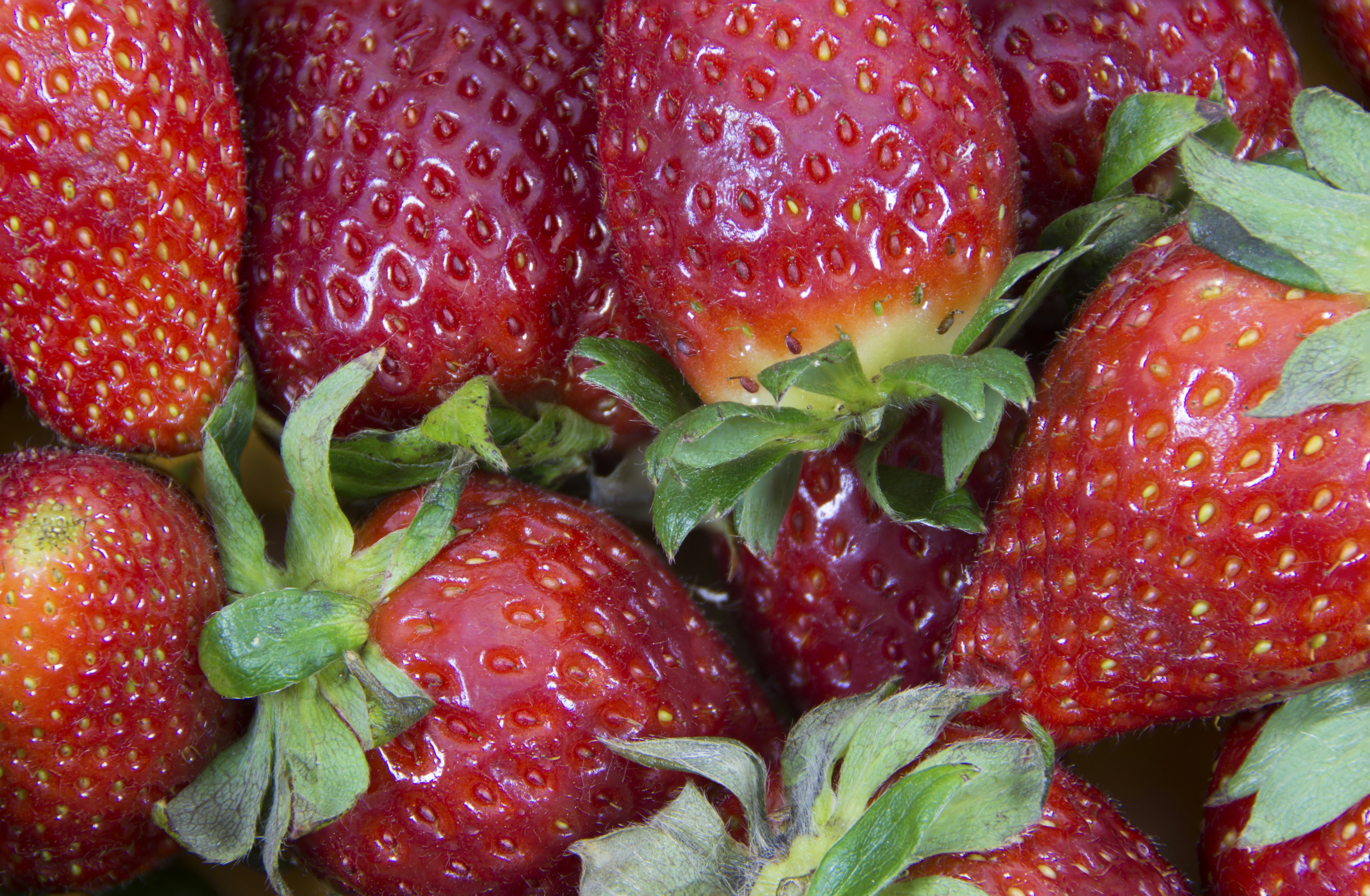 Macro Morangos Fotos | Baixe imagens gratuitas na Unsplash