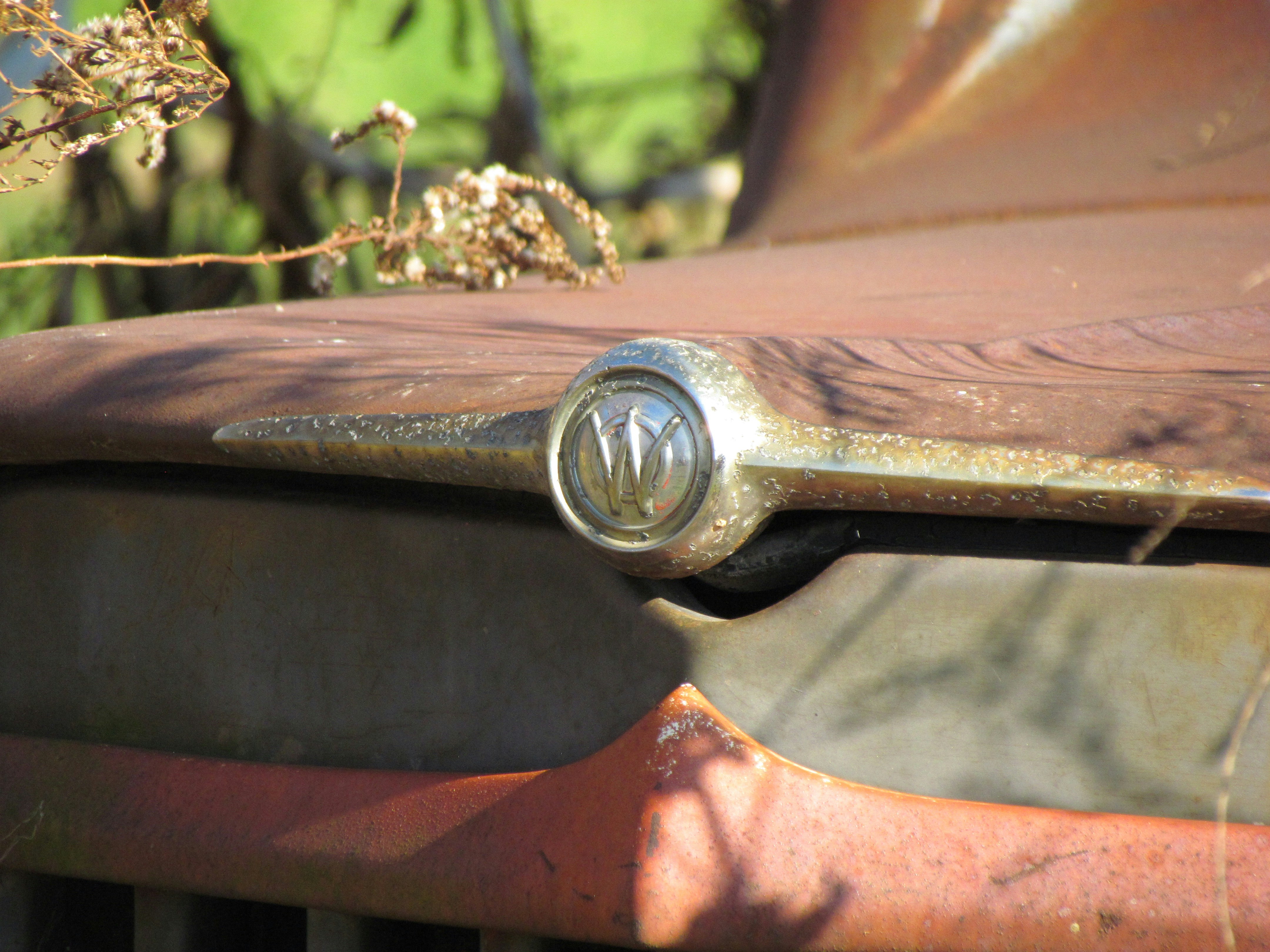 Close-up of a vintage car hood ornament centered on a rusted, weathered hood with blurred green foliage in the background.