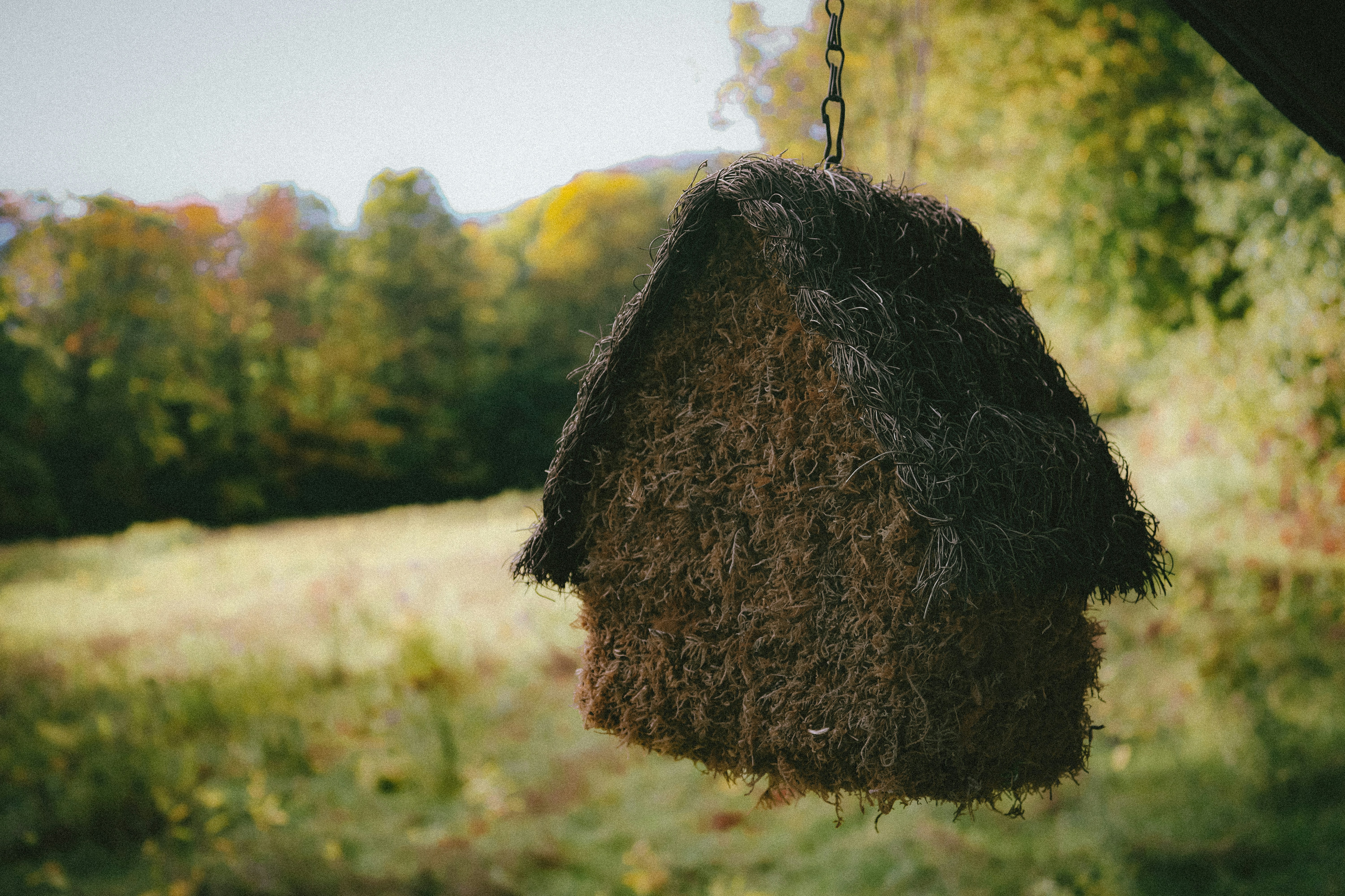 Hanging Shelter: A Close-Up of a Weatherted Broom-like Pendant in Autumn Light