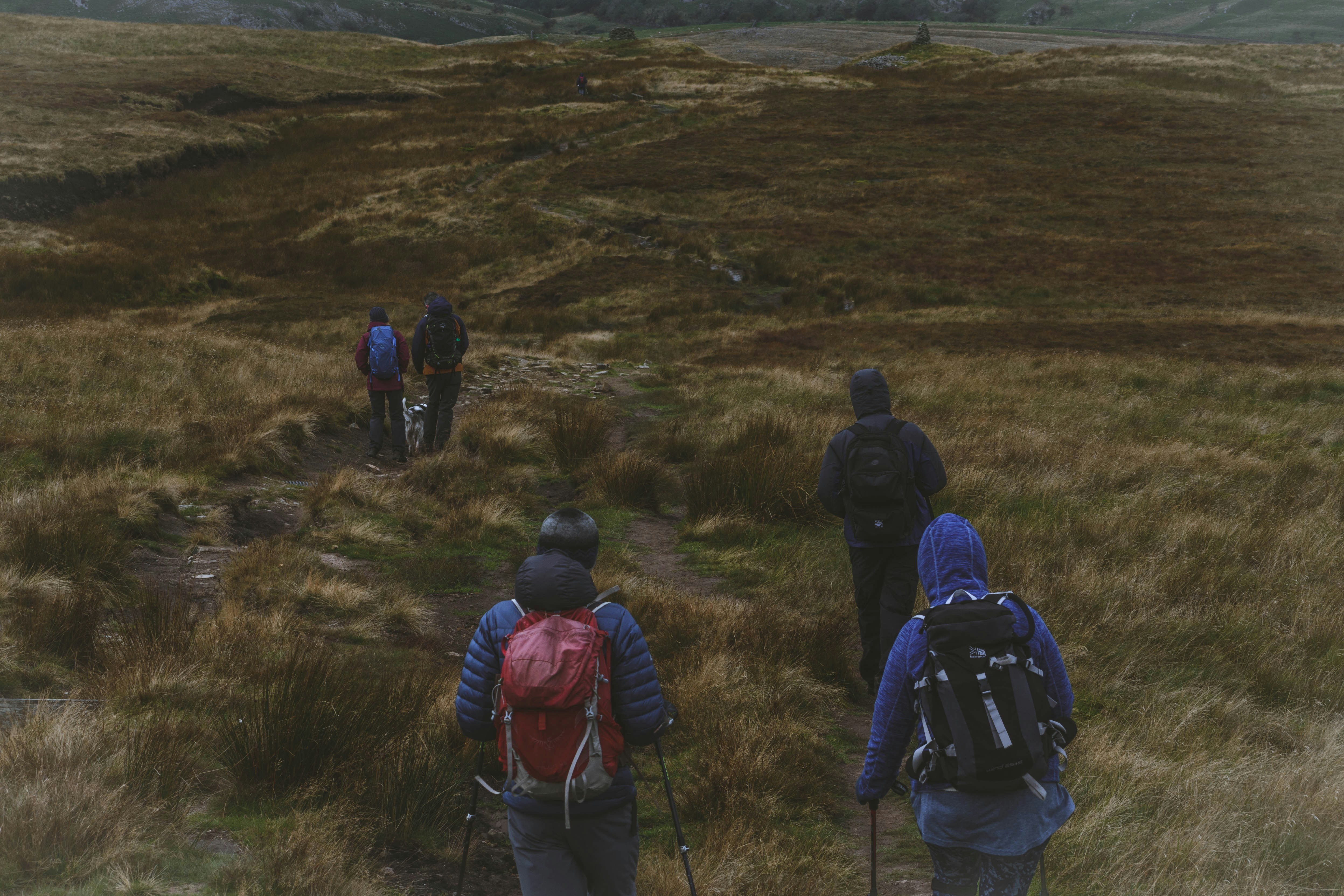 Hikers Trek Through Misty Moorland Toward a Distant Ridge