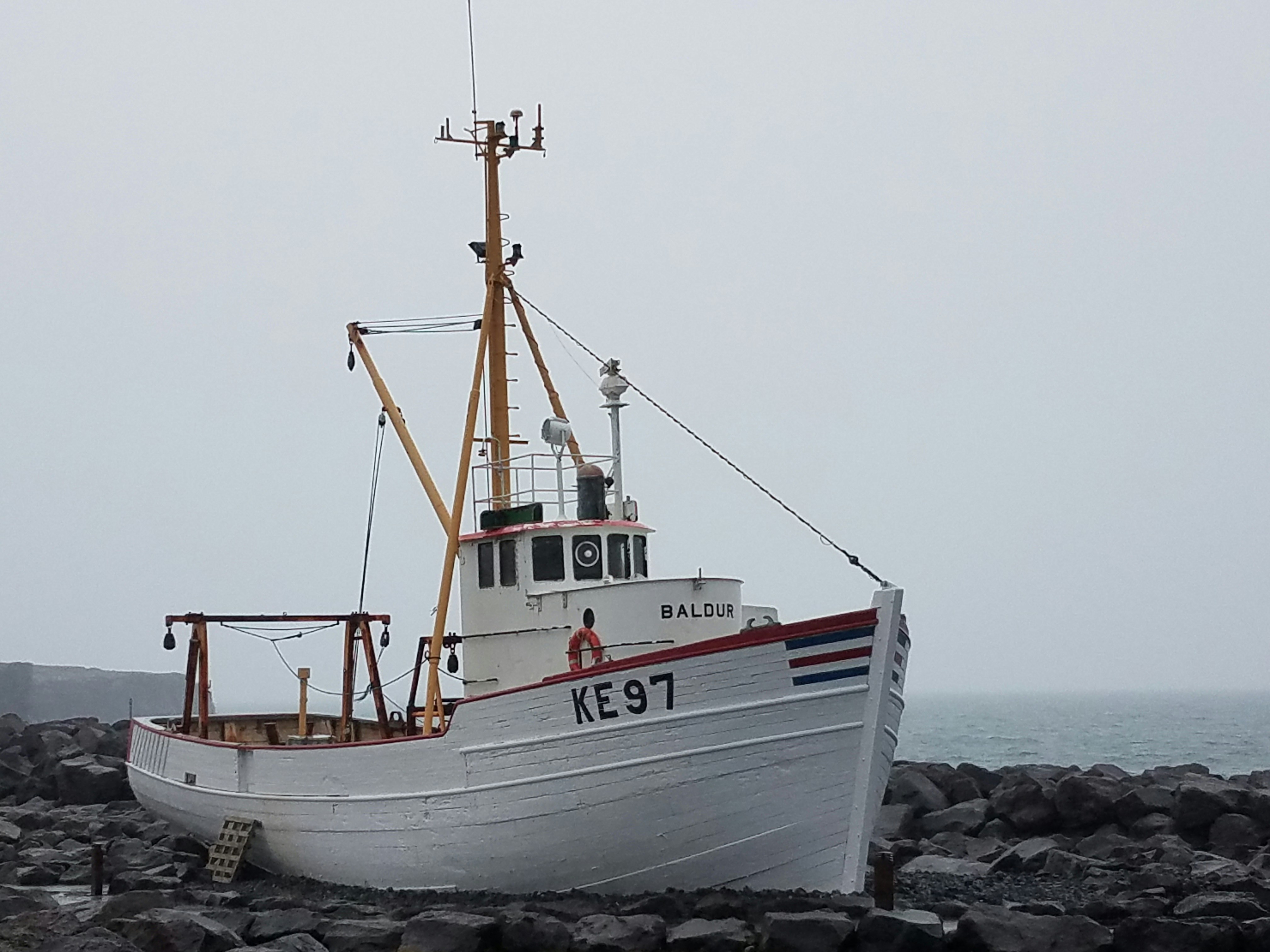 Grounded Pictures | Download Free Images on Unsplash